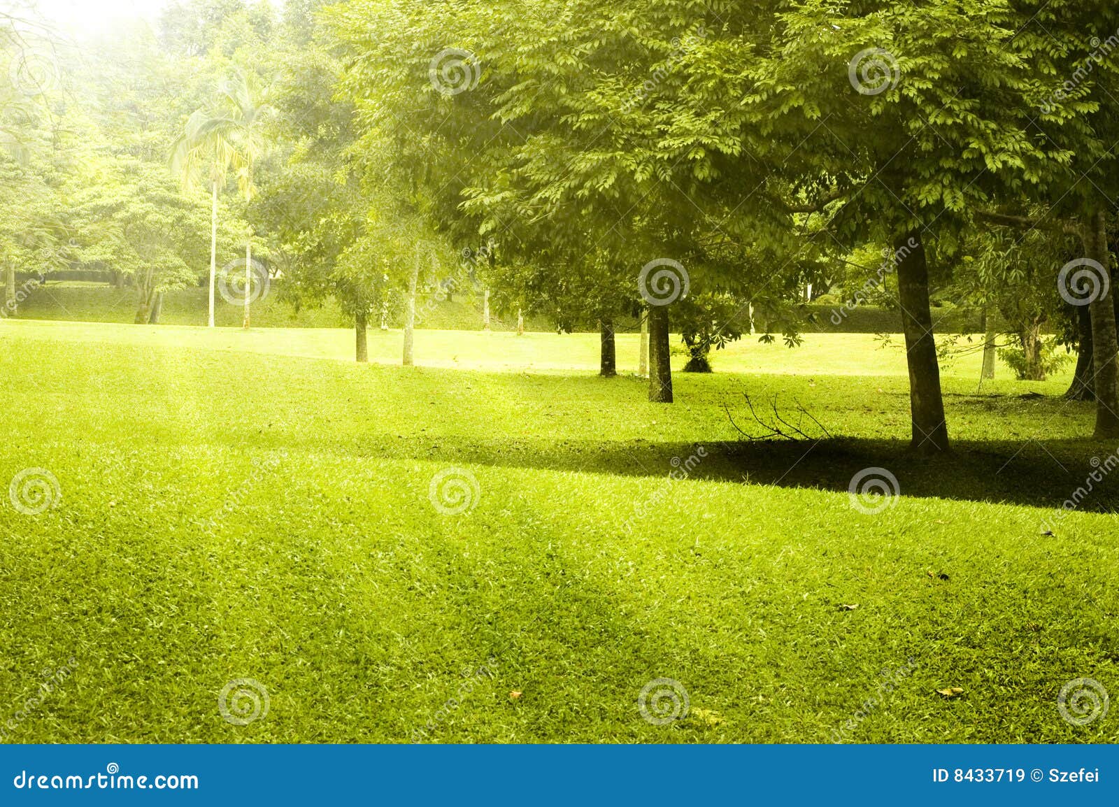 Green field landscape stock image. Image of calm, beam - 8433719