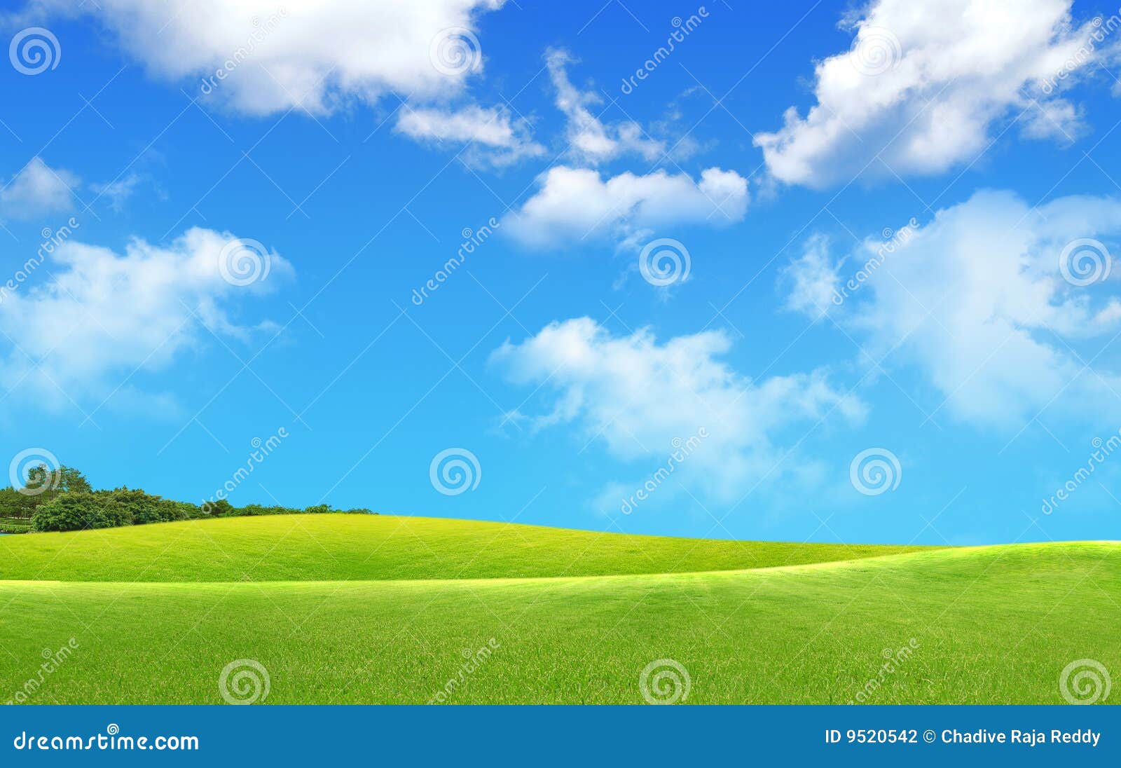 Green field Landscape stock photo. Image of cloudscape - 9520542