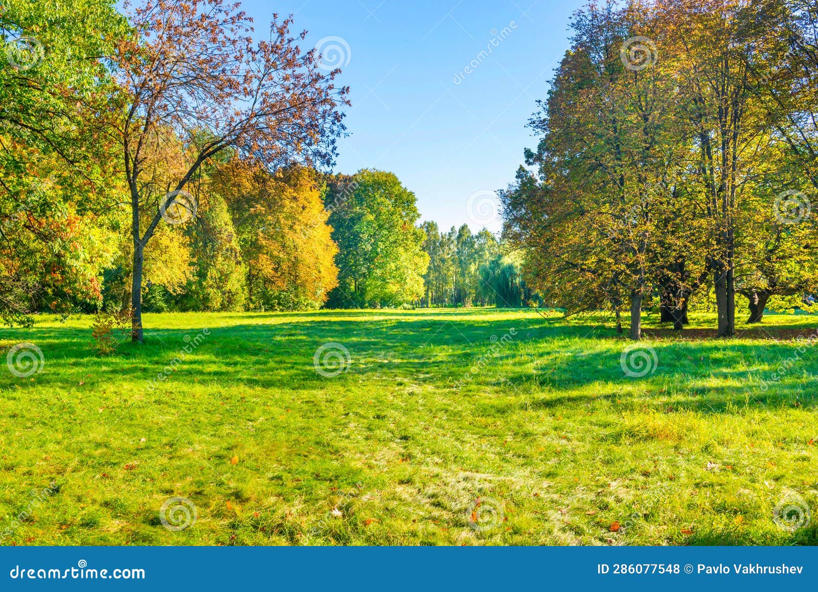 Green Field Lawn and Autumn Forest Stock Photo - Image of fall, field ...