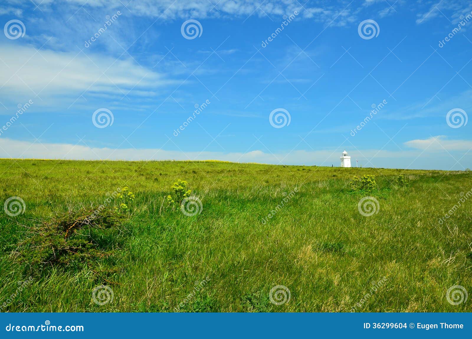 Green Field with Lighthouse in Background Stock Photo - Image of idyll ...