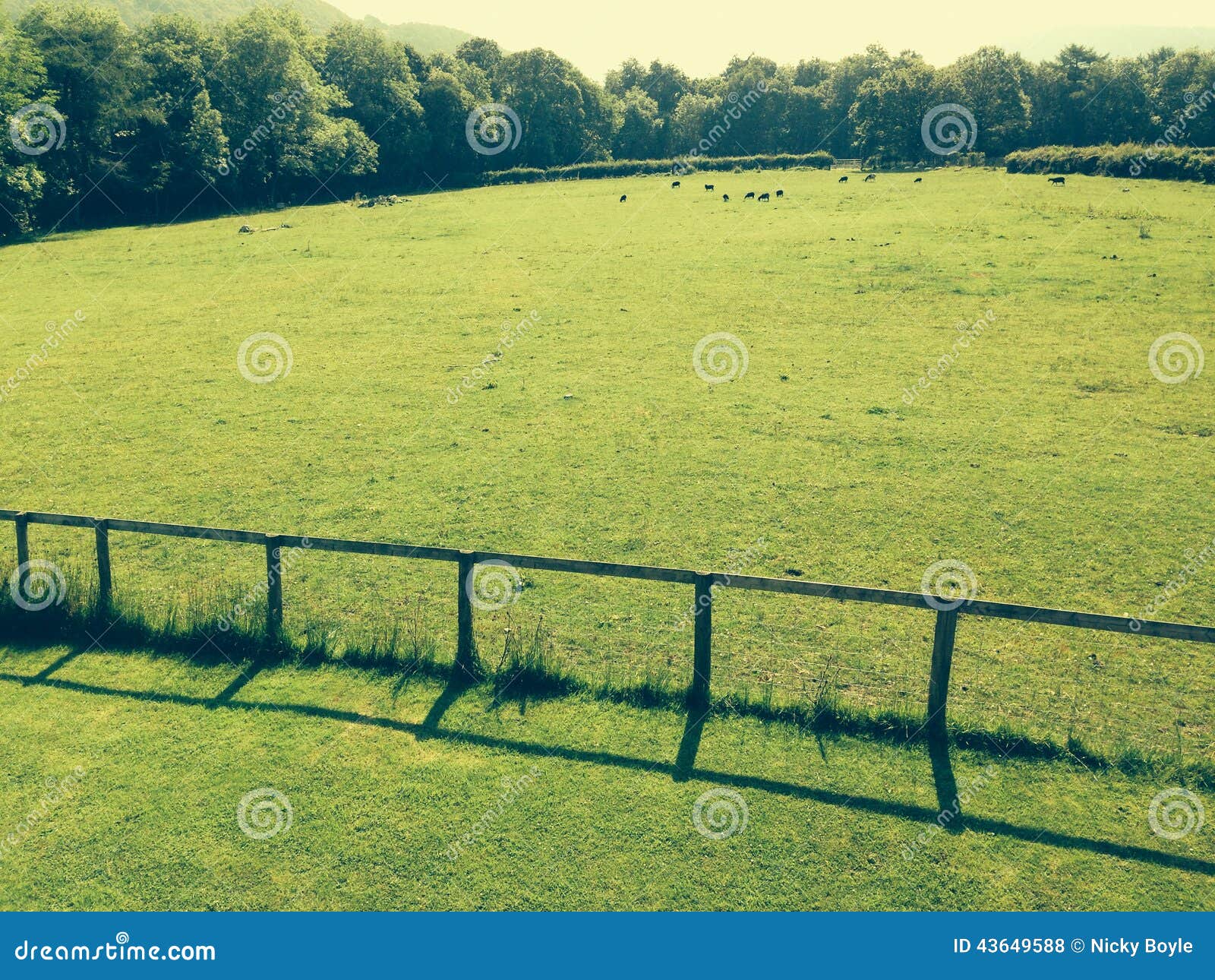 Green field mid week break stock photo. Image of green - 43649588