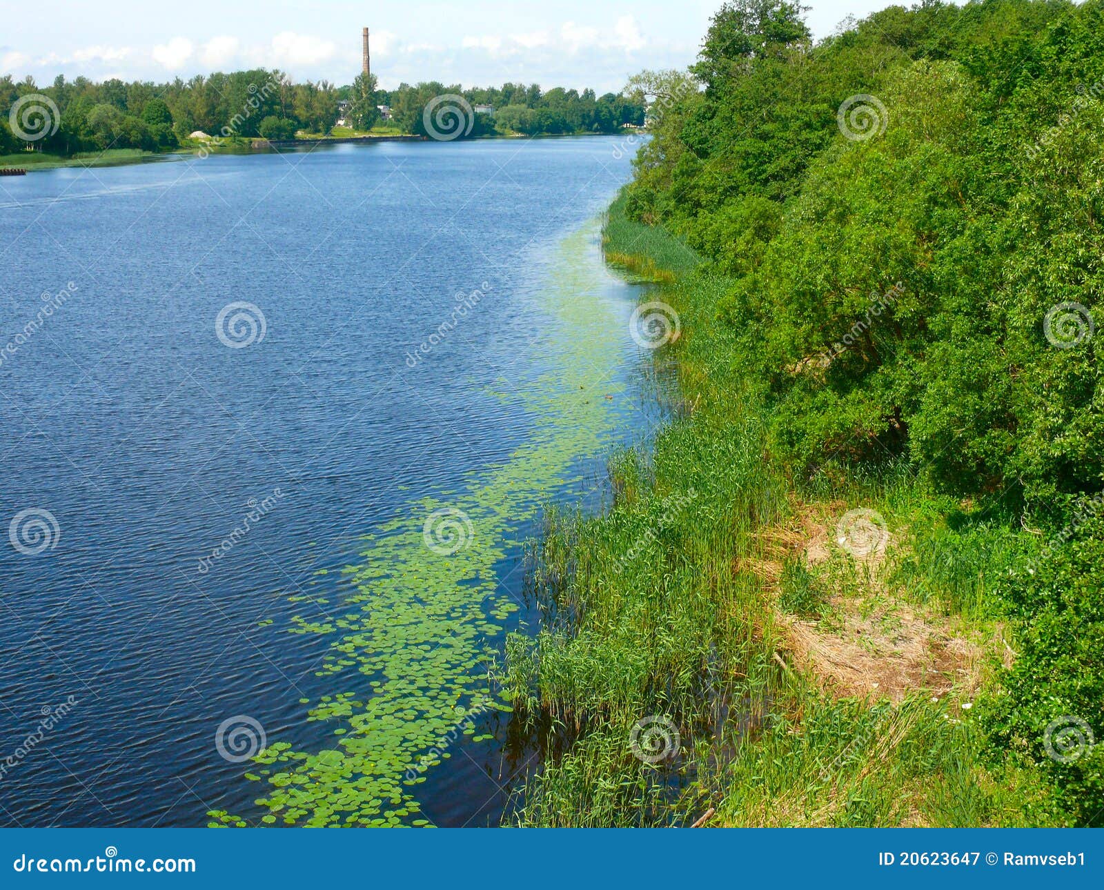 Green field near the river stock image. Image of outside - 20623647