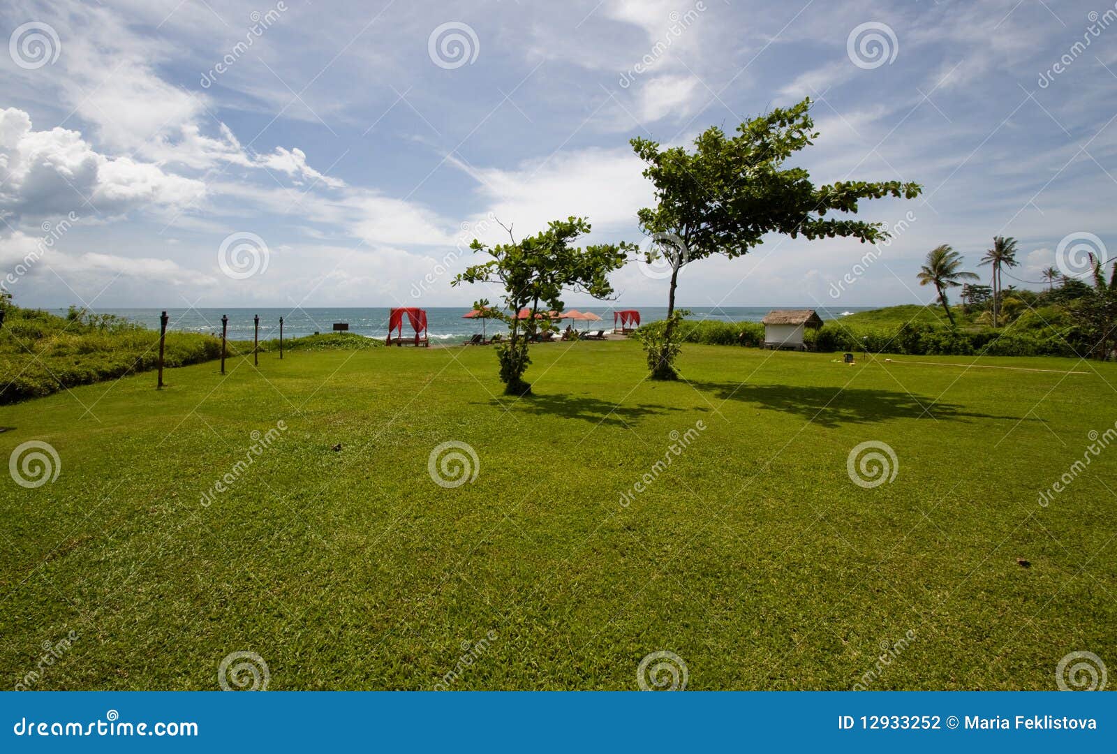 Green field and ocean stock photo. Image of garden, green - 12933252