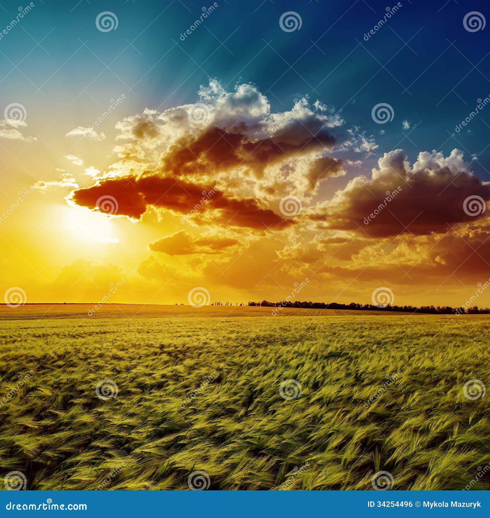 Green Field and Orange Sunset Stock Photo - Image of beauty, horizon ...