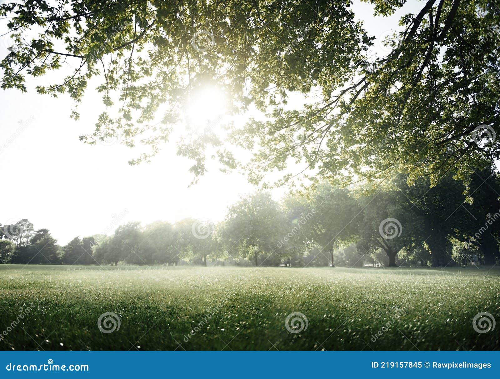 Green Field Park Environment Scenic Concept Stock Image - Image of park ...