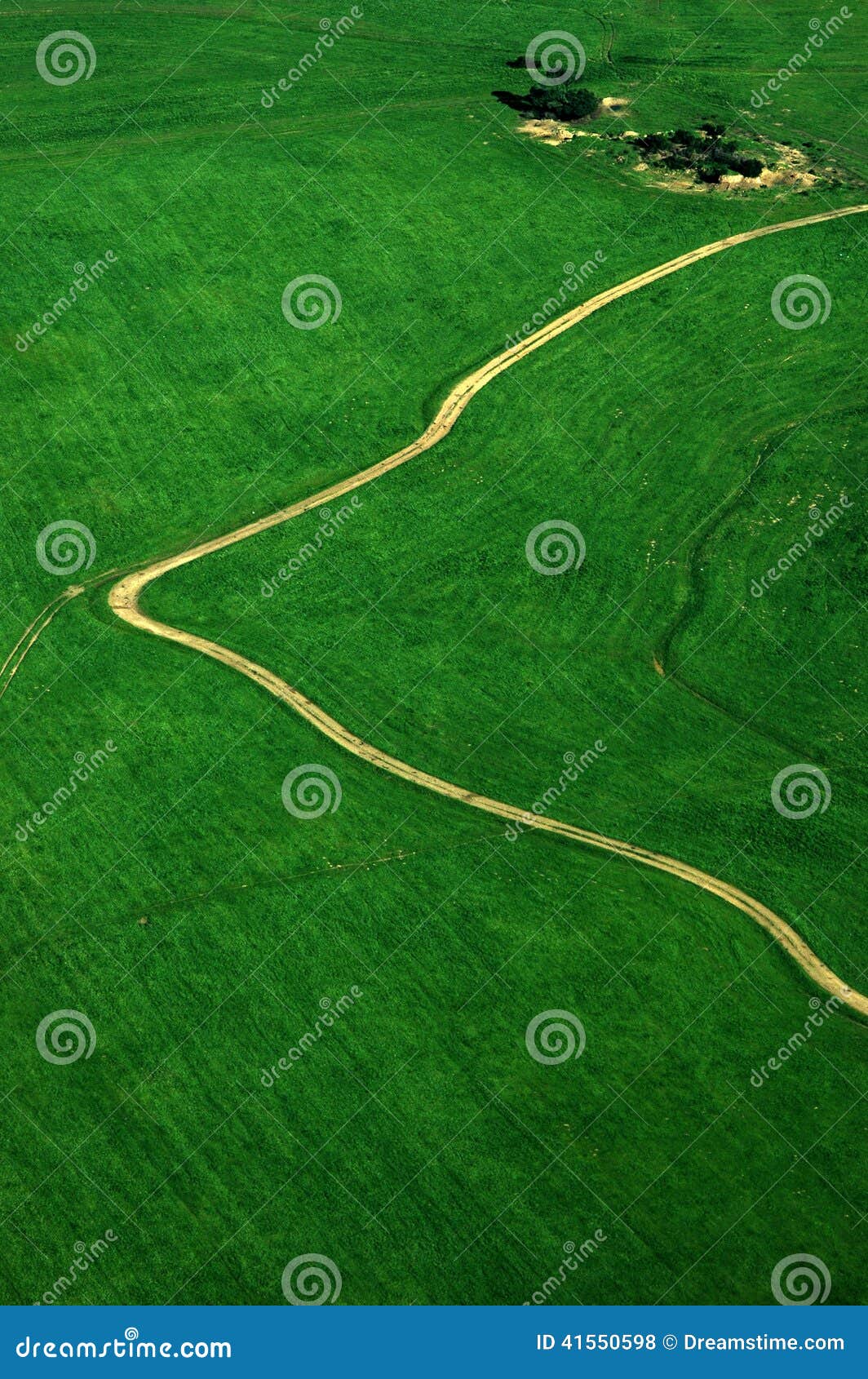 Field Path With Meadow And Farms And Mountain Forest In The Background ...
