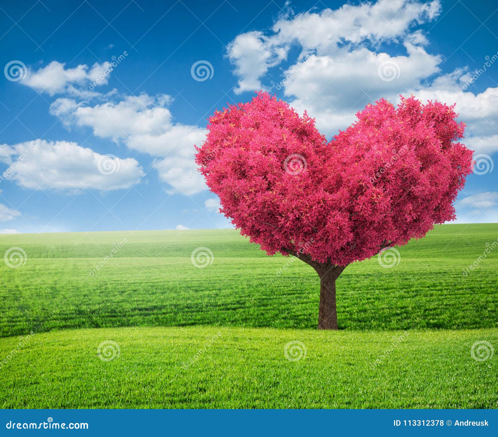 Green Field and Pink Tree in Shape of Heart Stock Illustration ...