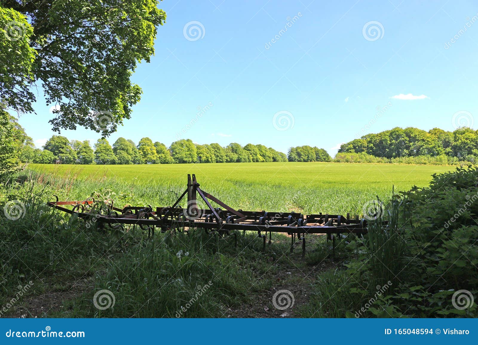 Field with Plough stock photo. Image of development - 165048594