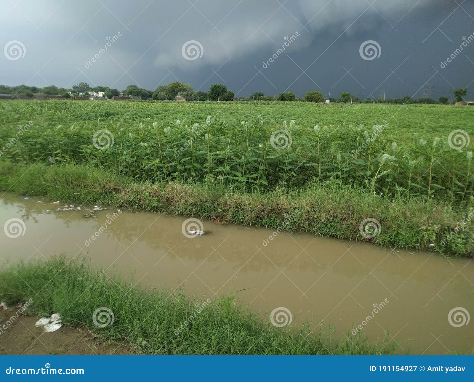 Green Field with Dark Cloud Raining Season Stock Image - Image of field ...