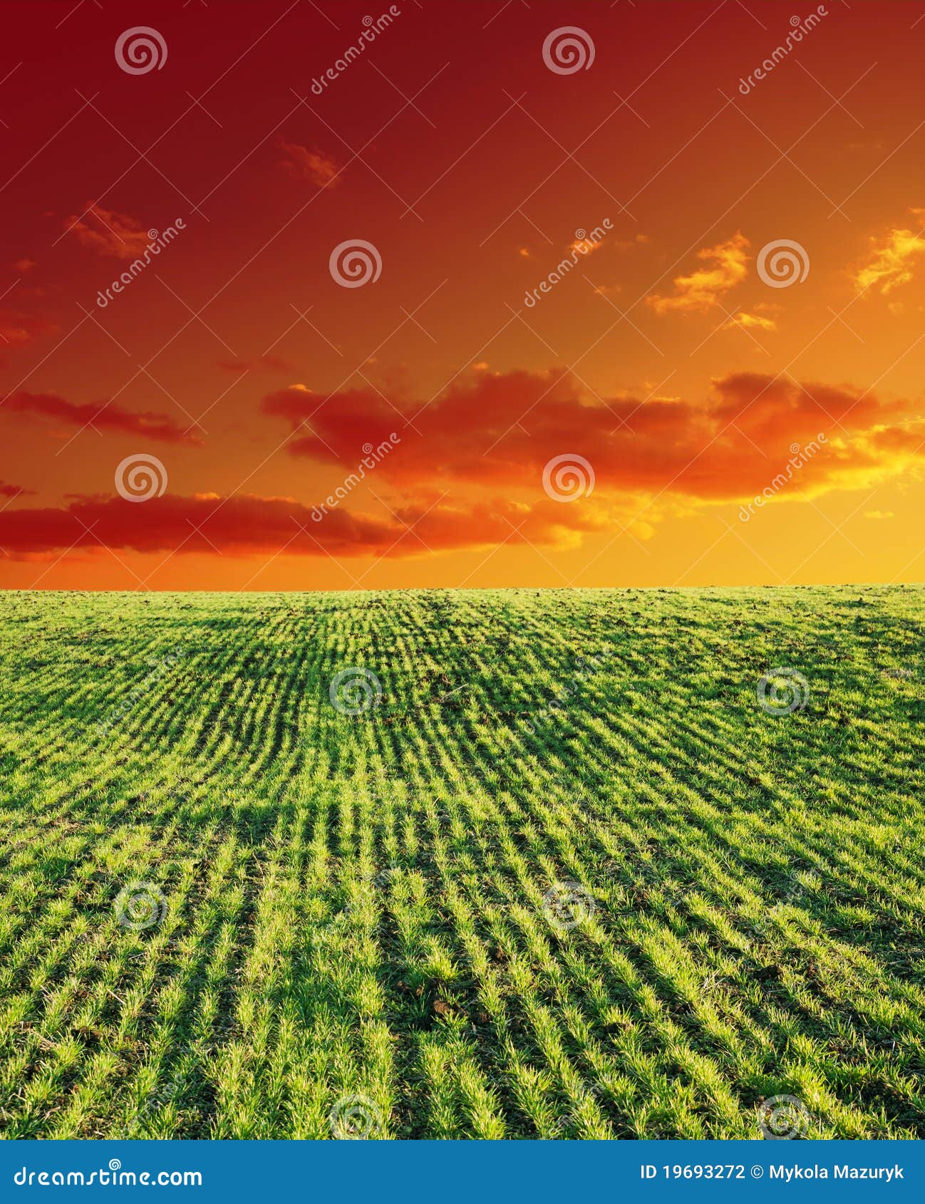 Green field and red sunset stock photo. Image of land - 19693272