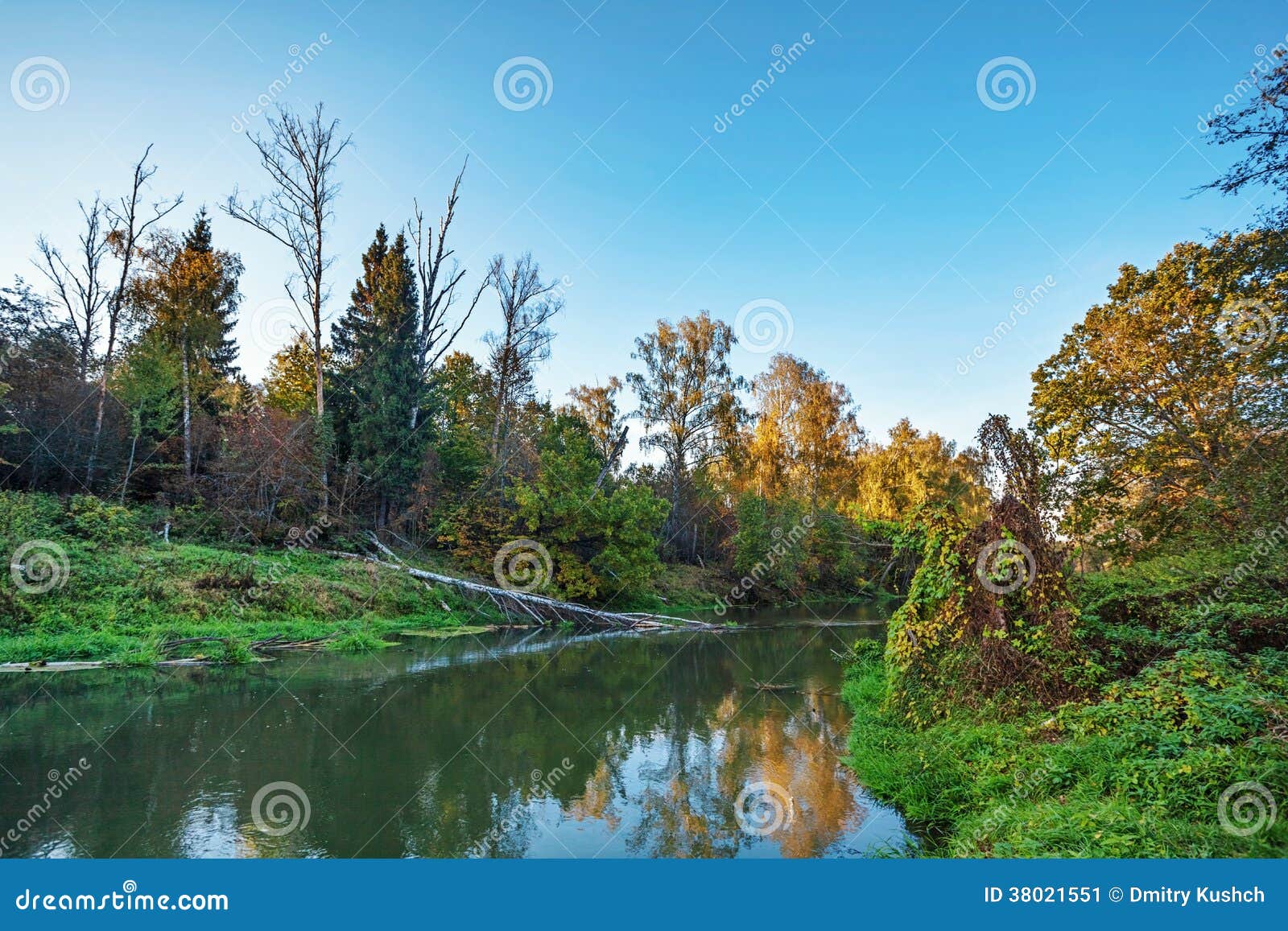 Green field with river stock image. Image of environment - 38021551