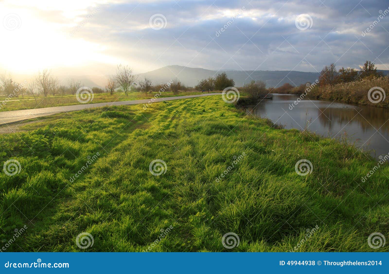 Green Field and River Lit by Strong Sun Light Stock Photo - Image of ...