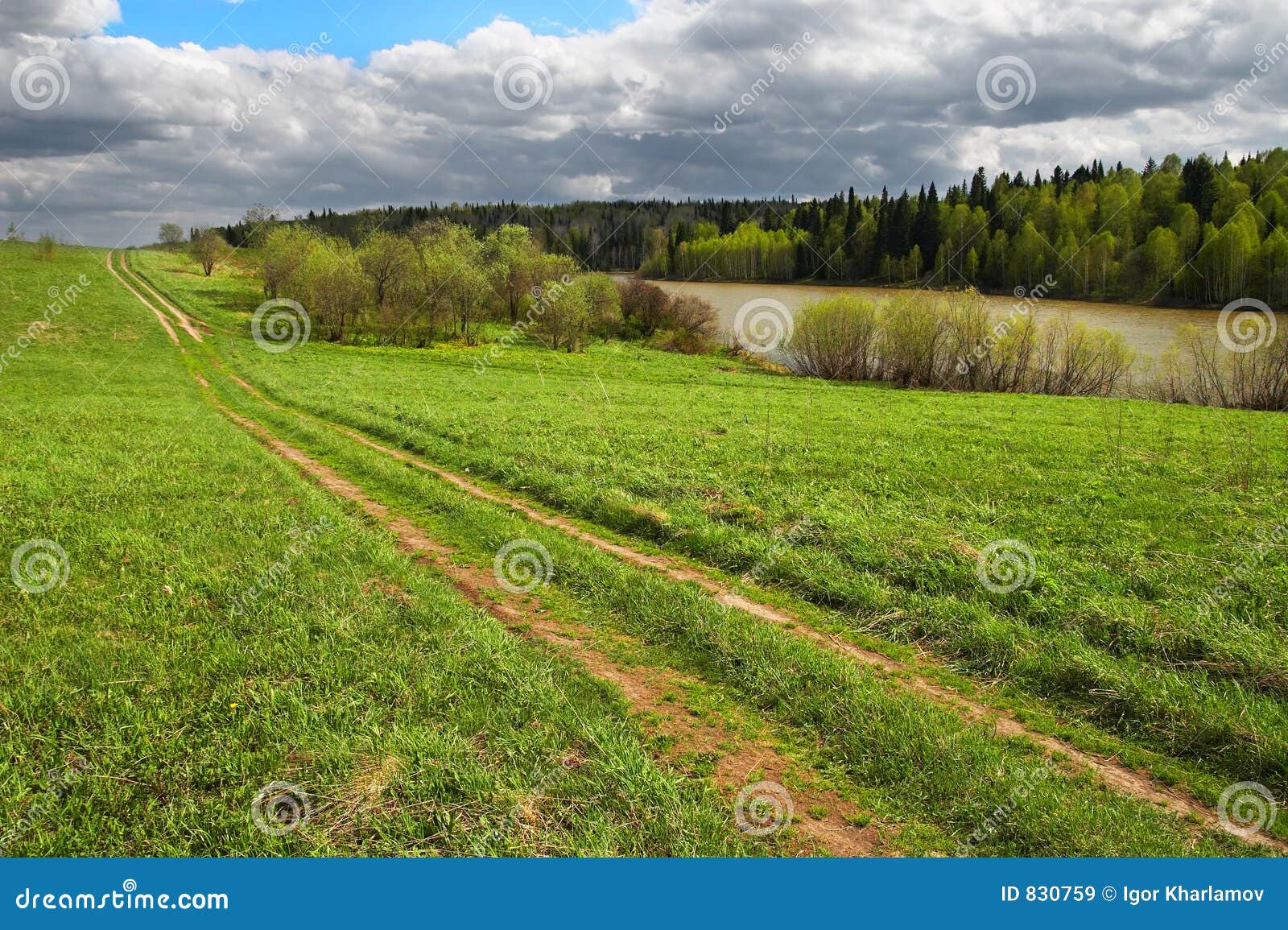 Green Field and Road To Anywhere Stock Image - Image of farm, walk: 830759