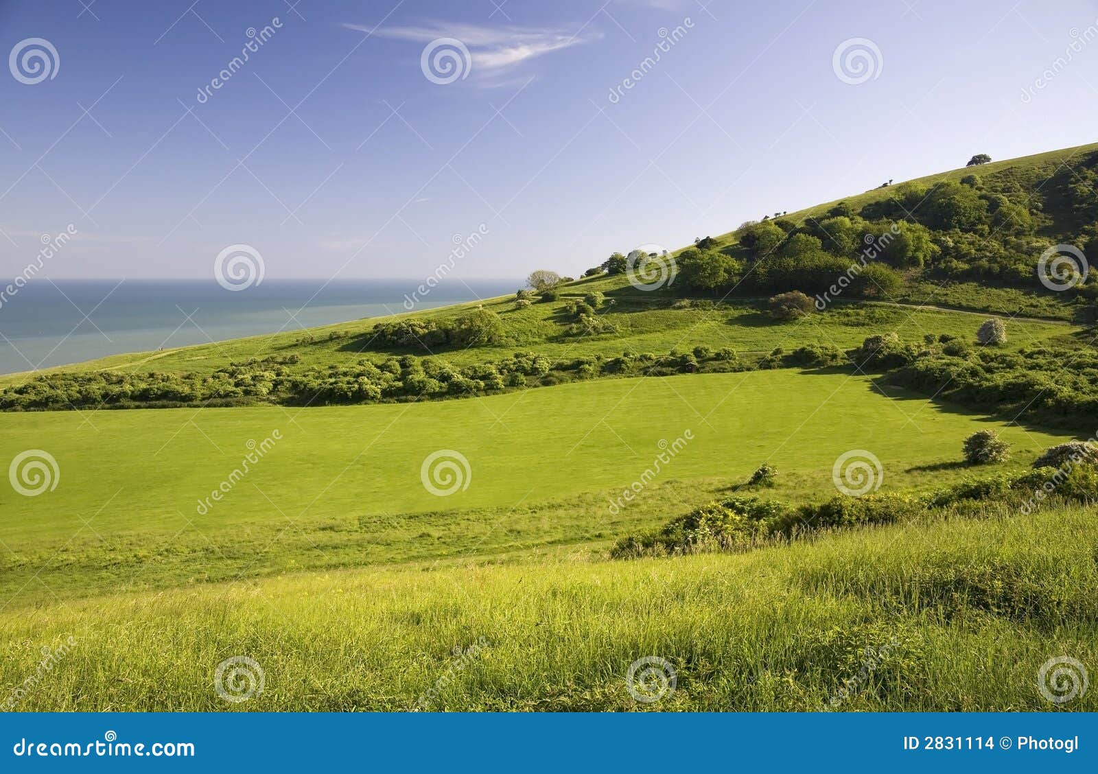 Green field with sea. stock photo. Image of beautiful - 2831114