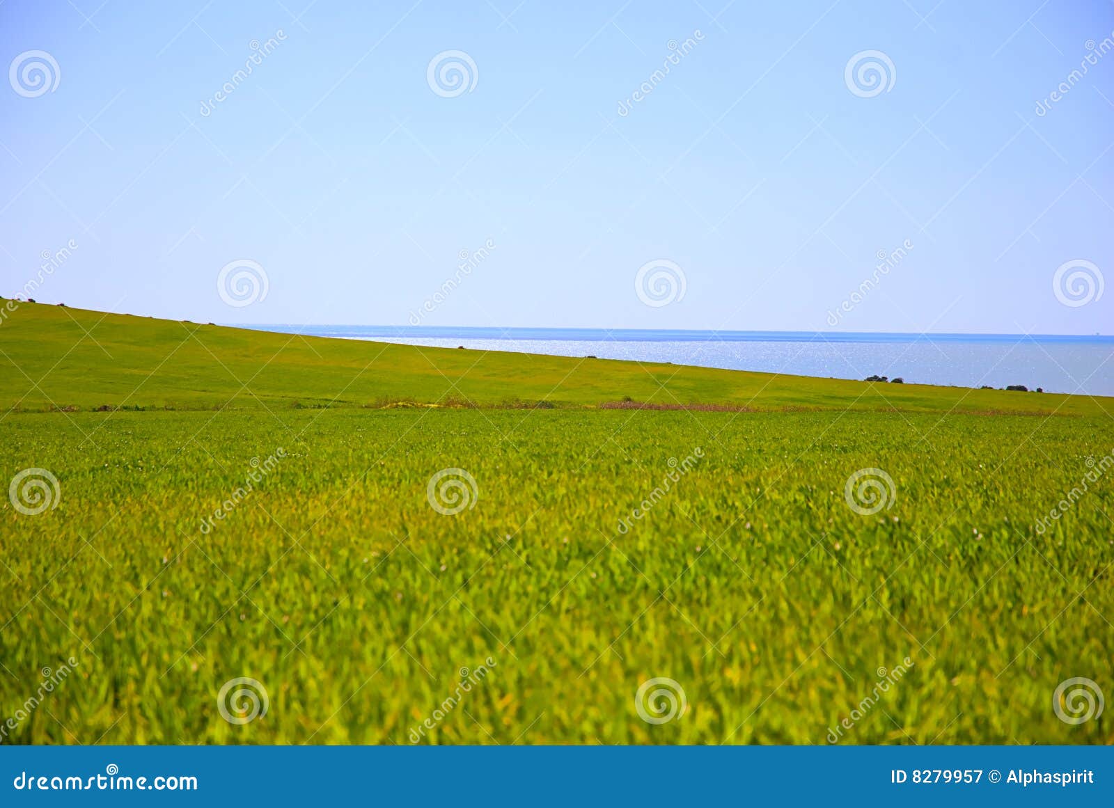 Green field and sea stock image. Image of outside, crop - 8279957
