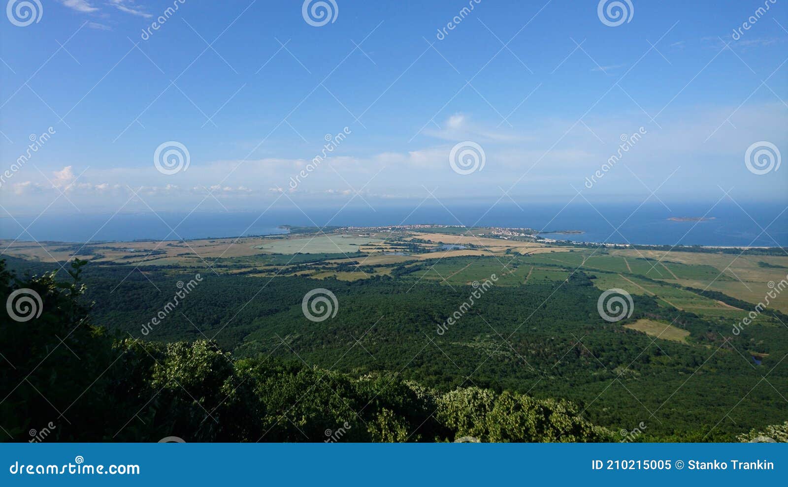 Field and sea stock image. Image of tree, skyline, plain - 210215005