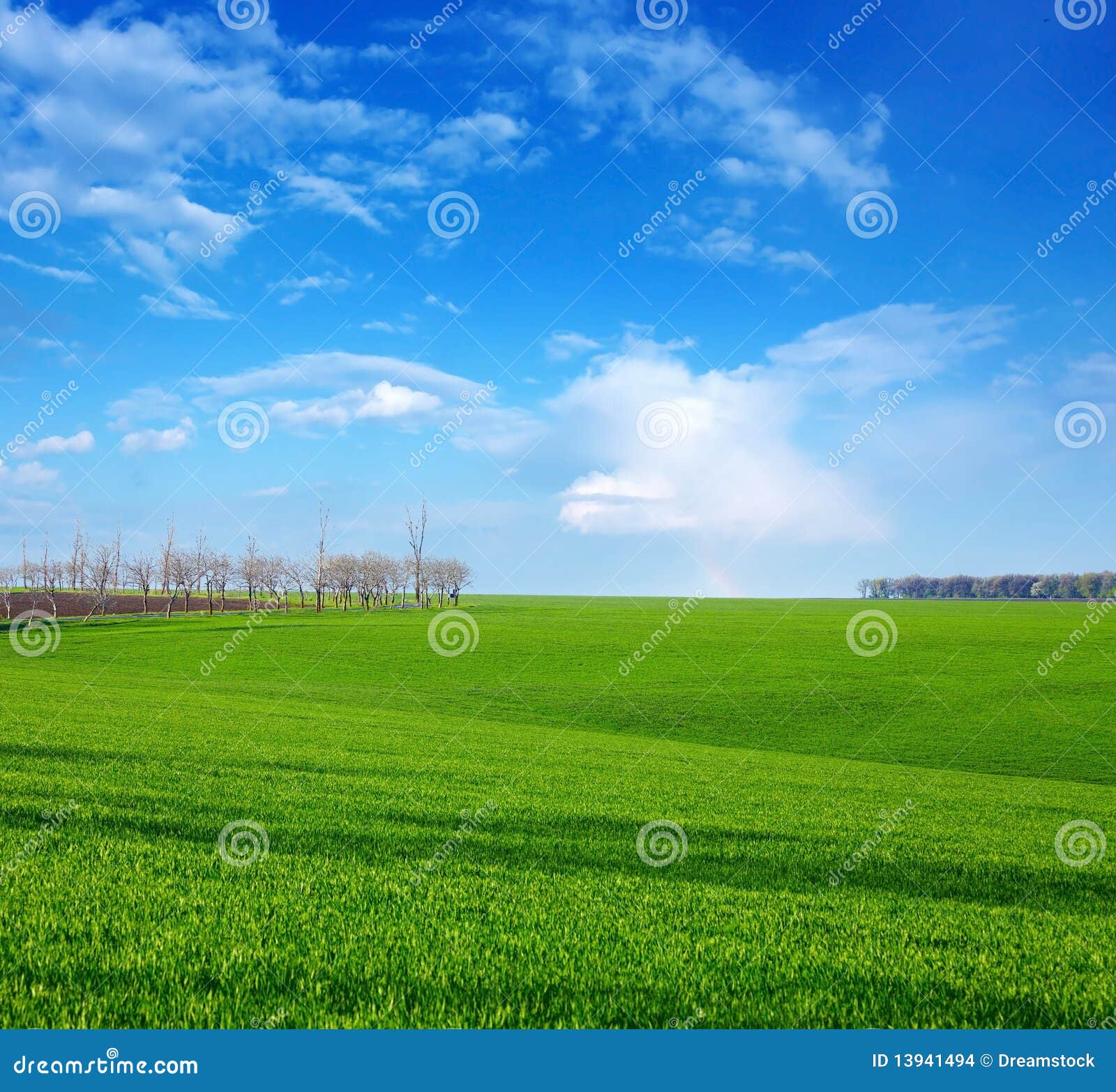 Green field in spring day stock photo. Image of fleecy - 13941494