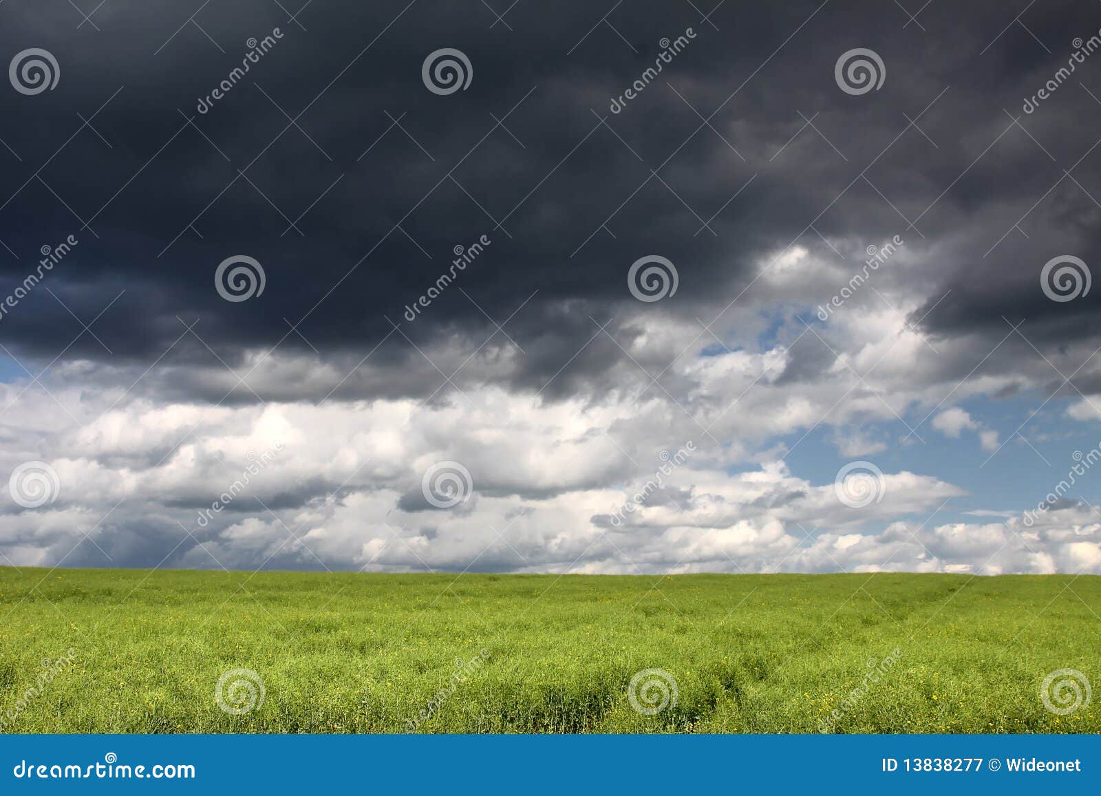 Green field and storm sky. stock image. Image of farm - 13838277