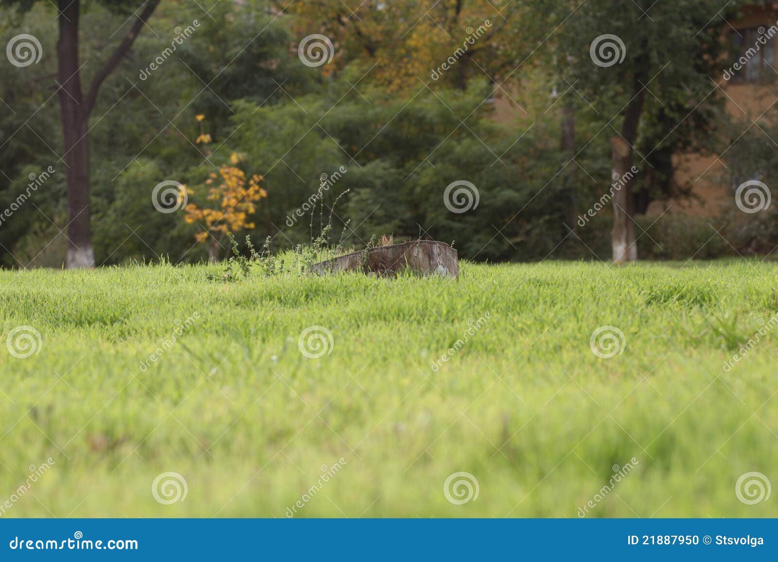 Green field with a stub stock photo. Image of outdoor - 21887950