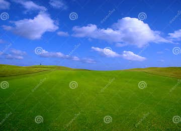 Green field in summer stock photo. Image of fields, field - 491938