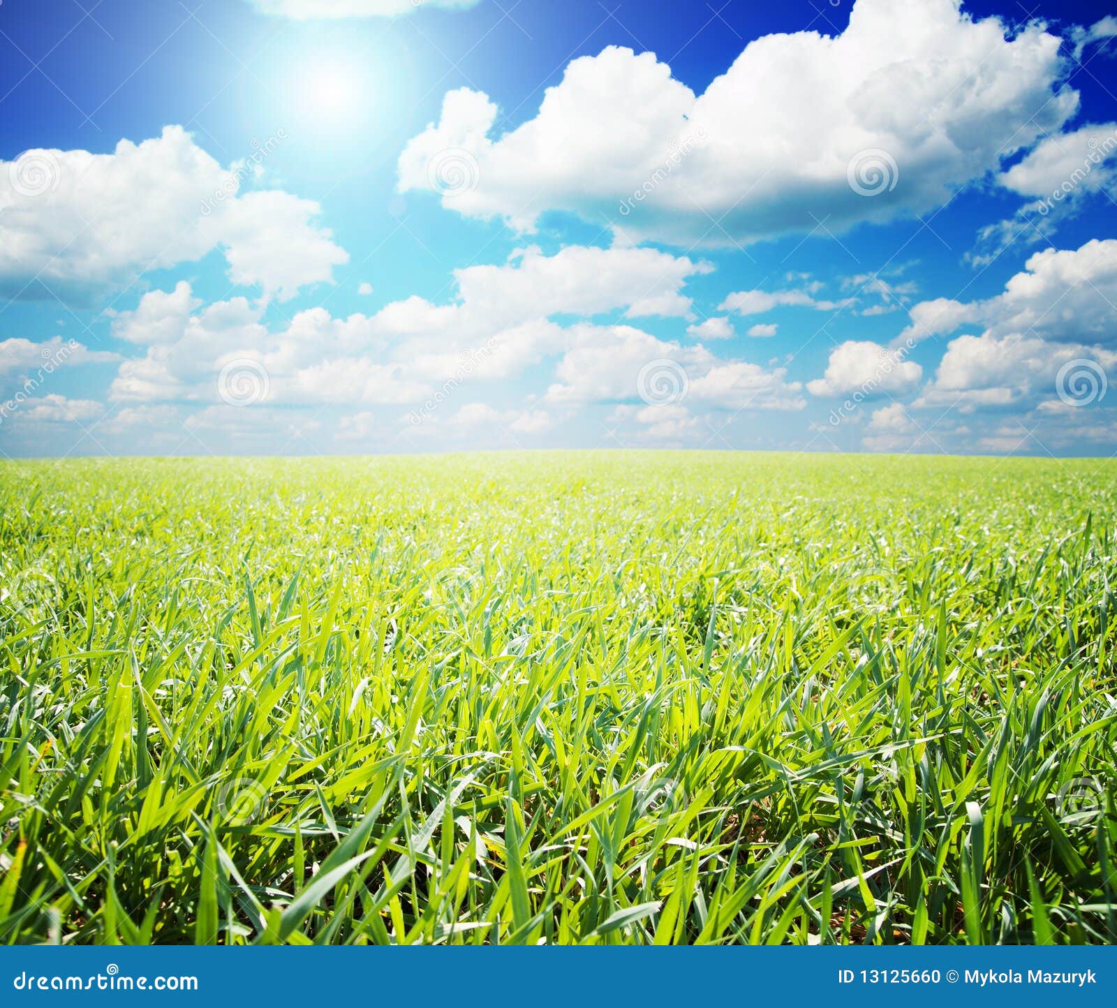 Green field and sun stock photo. Image of country, nice - 13125660