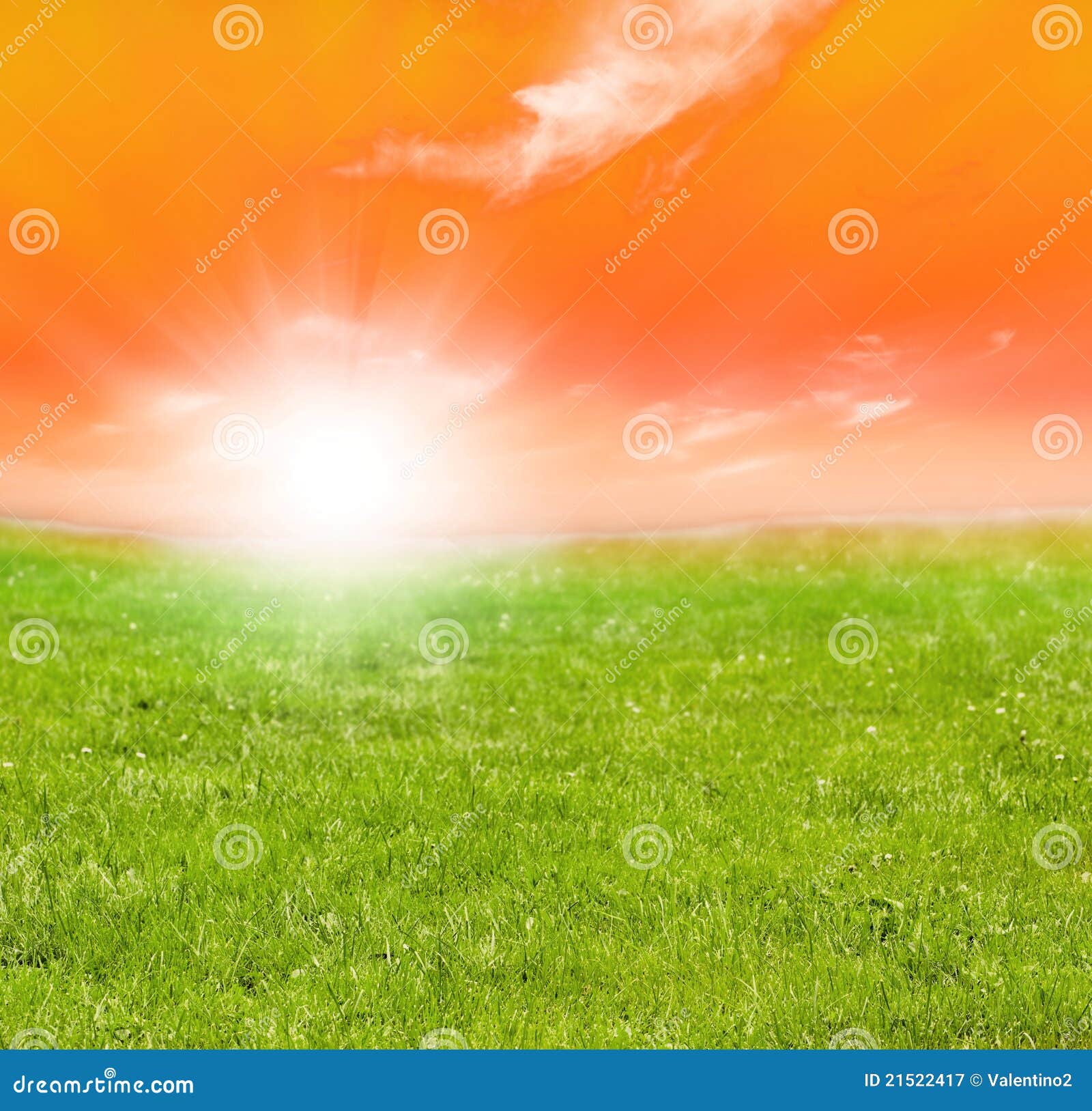 Green field and sun stock image. Image of season, idyll - 21522417