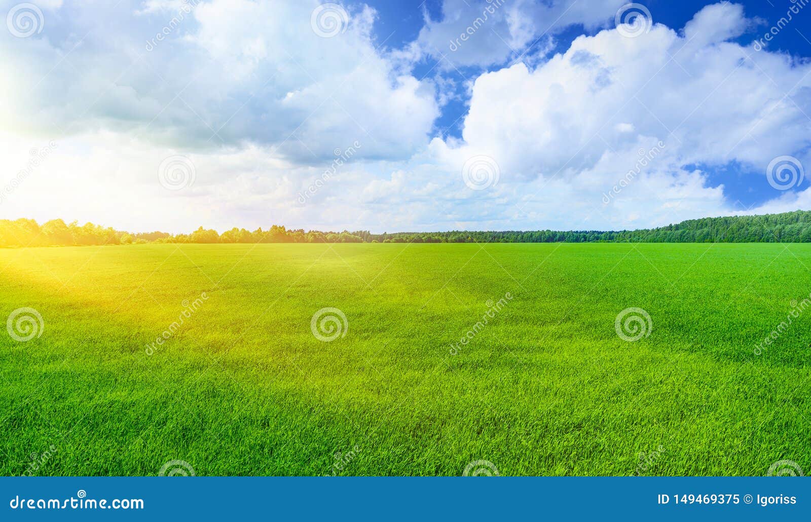 Green field and sun beam stock image. Image of outdoor - 149469375