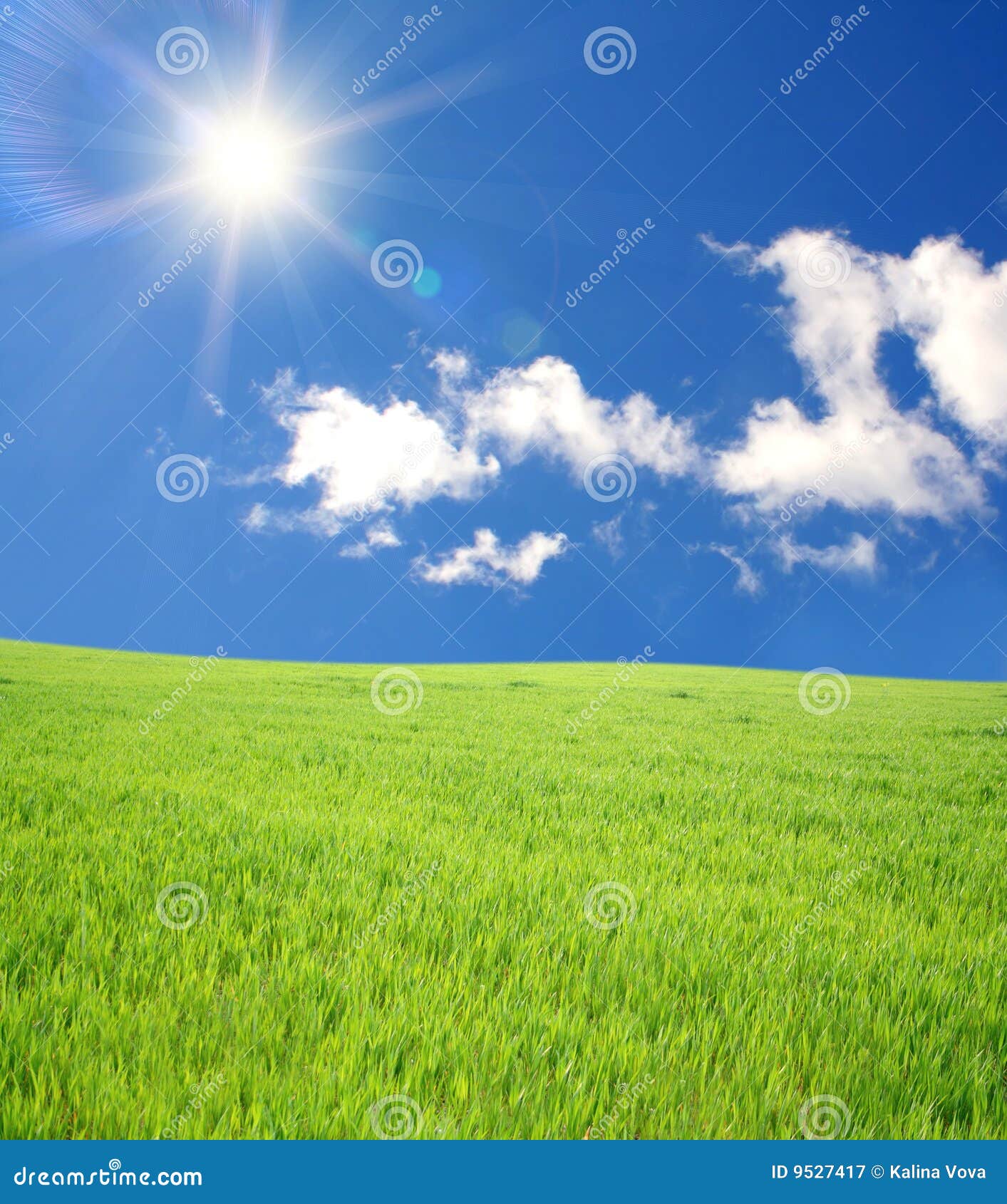 Green field and sun sky stock image. Image of flora, garden - 9527417