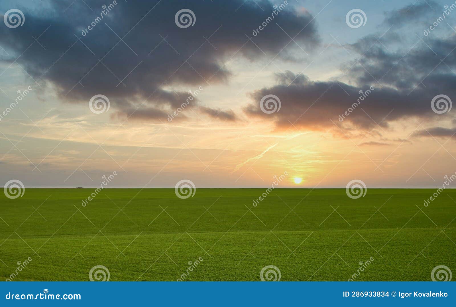 Green Field at Sunset in Southern Ukraine Stock Photo - Image of ...