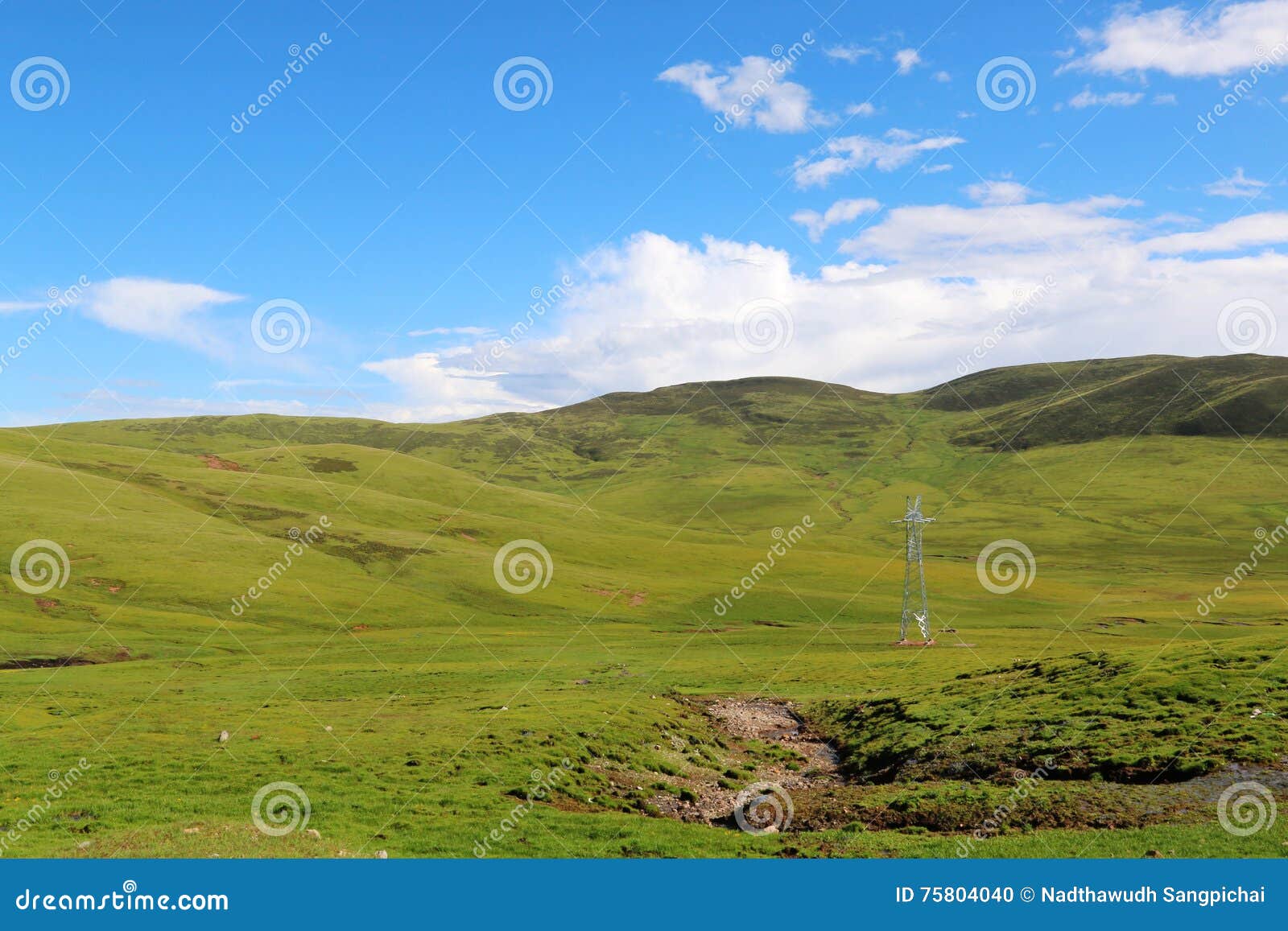 Green field at Tibet stock photo. Image of morning, natural - 75804040