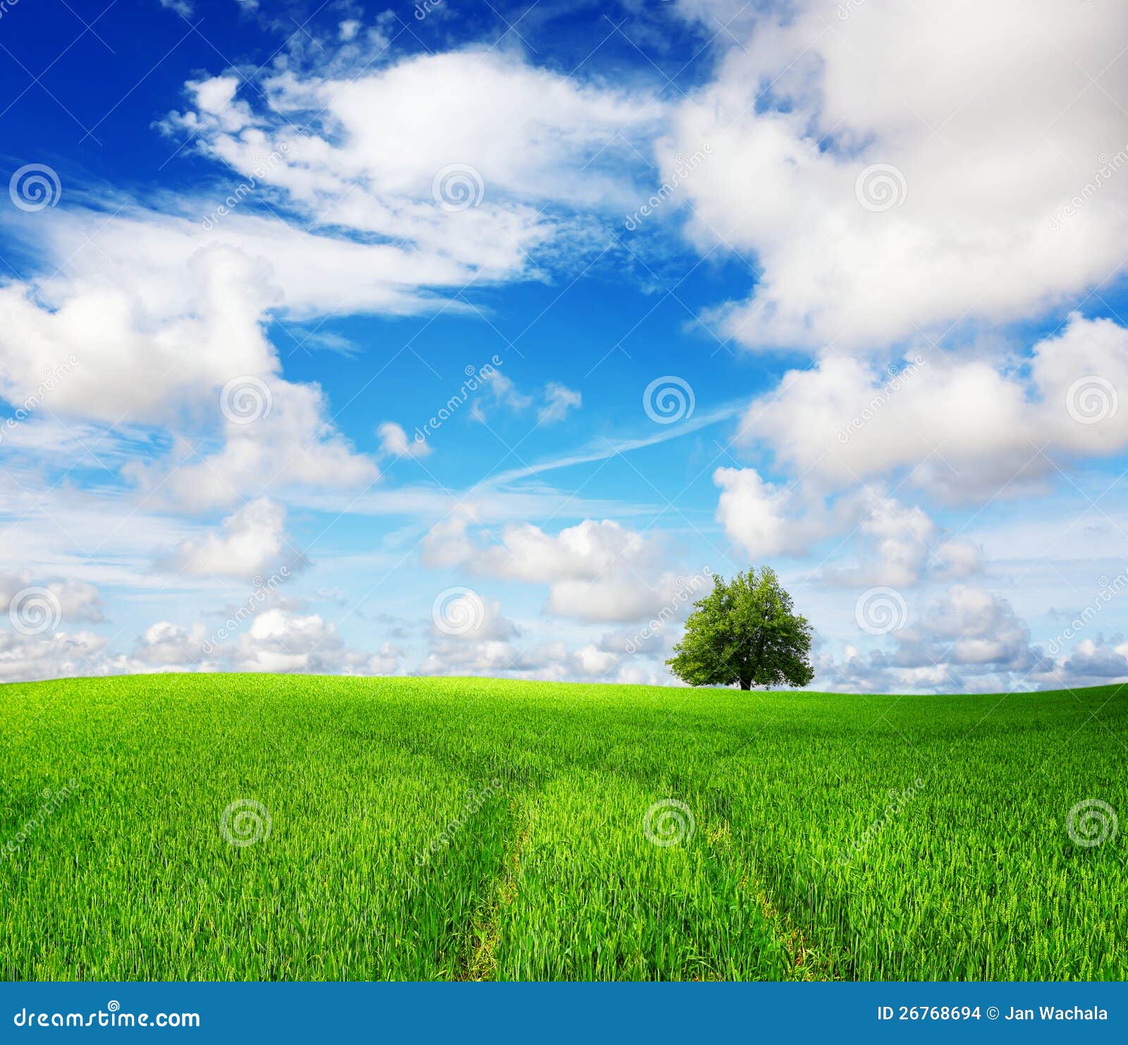 Green field and tree stock photo. Image of background - 26768694