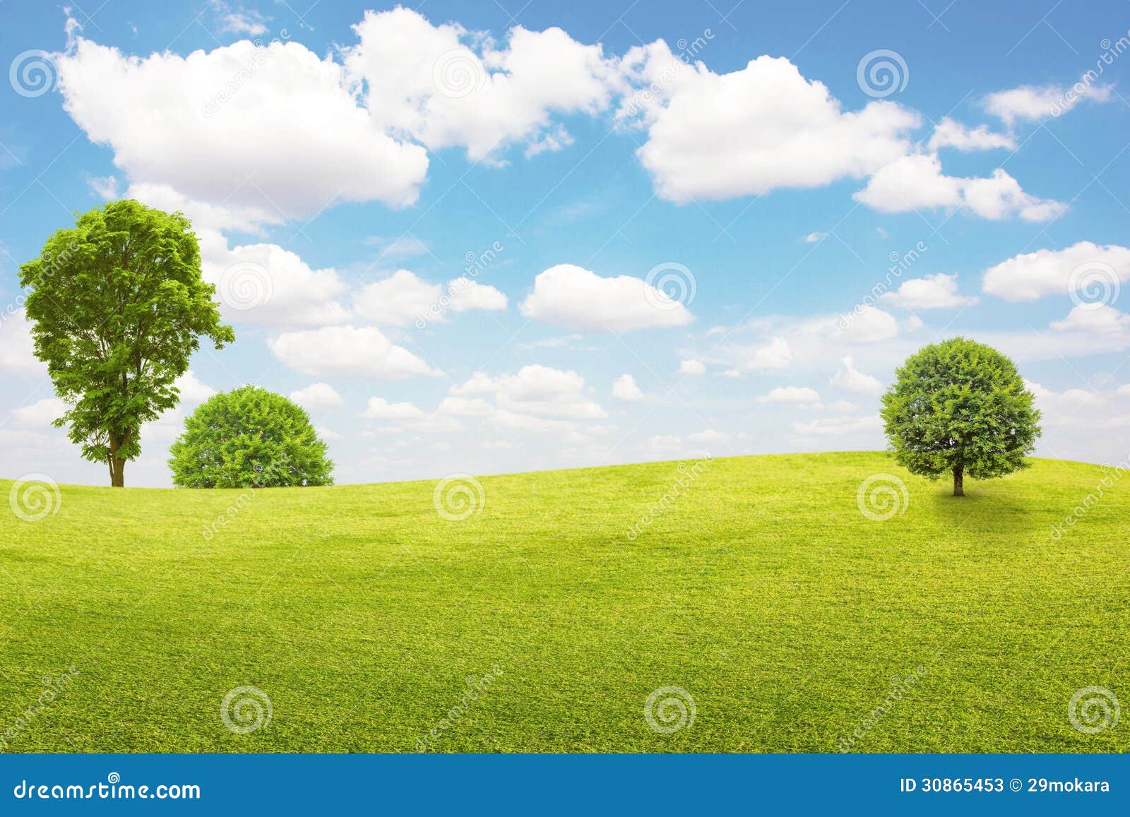 Green Field and Tree with Blue Sky and Clouds Stock Image - Image of ...