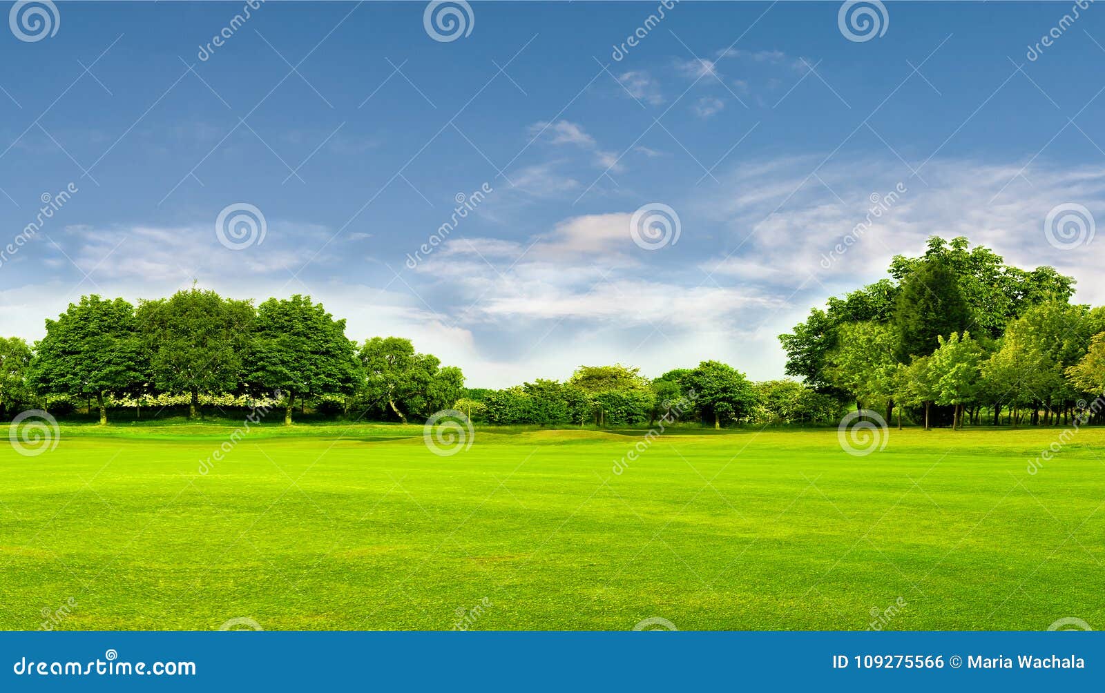 Green Field, Tree and Blue Sky.Great As a Background,web Banner Stock ...