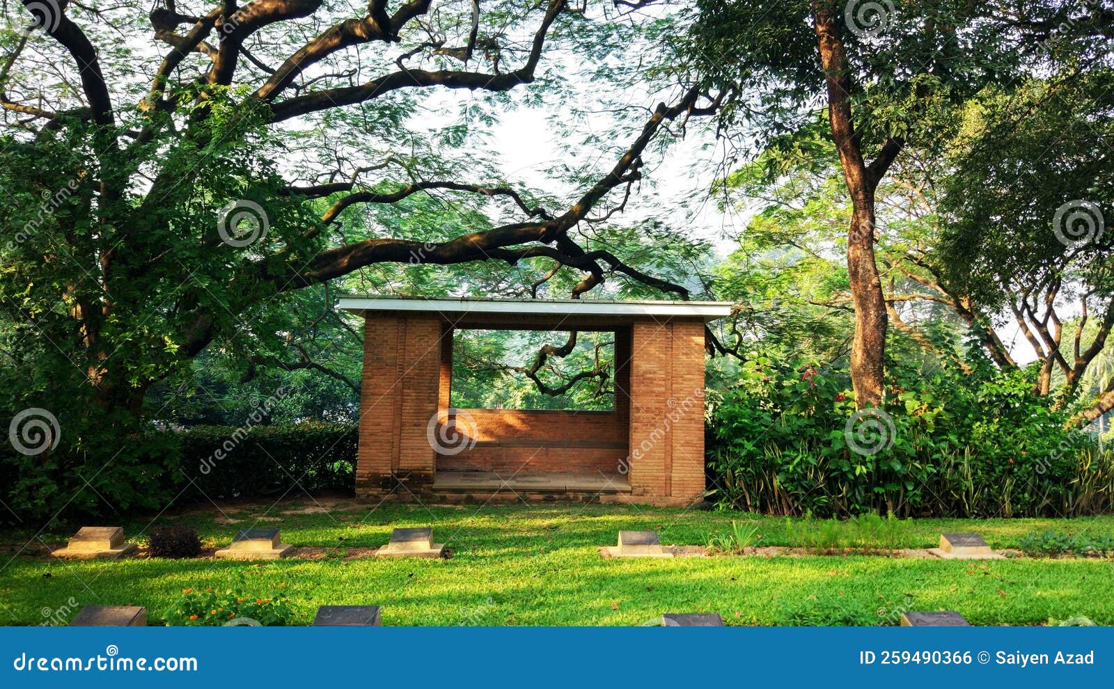 Green Field and Tree at Comilla Bangladesh Stock Photo - Image of bangladesh, field: 259490366