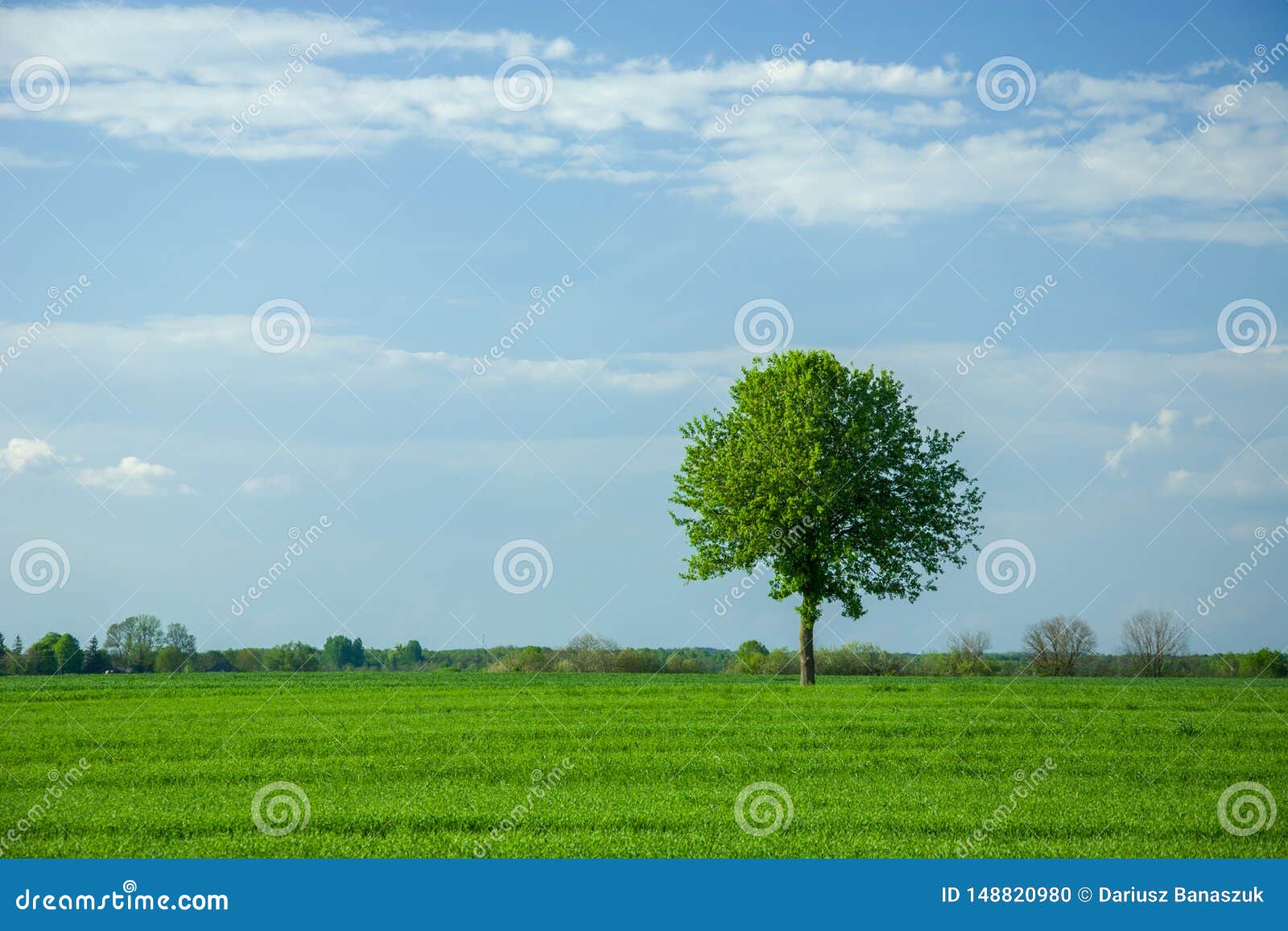 Green Field and Tree on the Horizon Stock Photo - Image of countryside ...