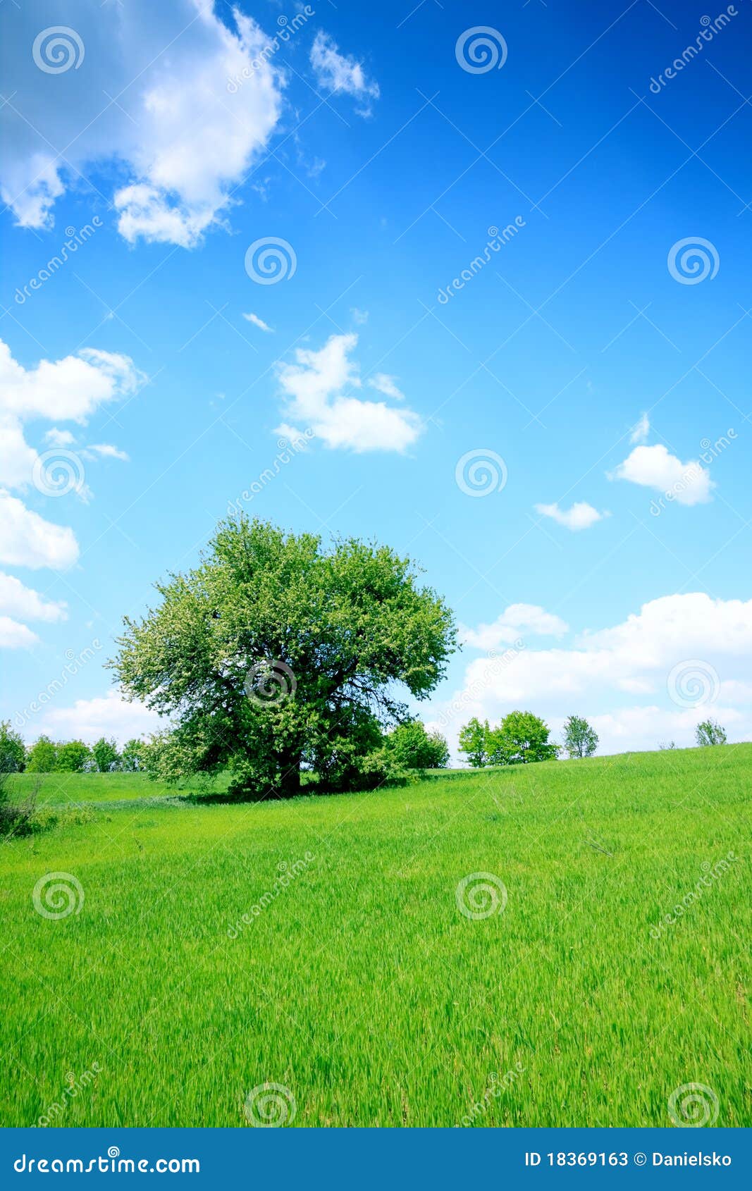 Green field and trees stock image. Image of nature, cloudscape - 18369163