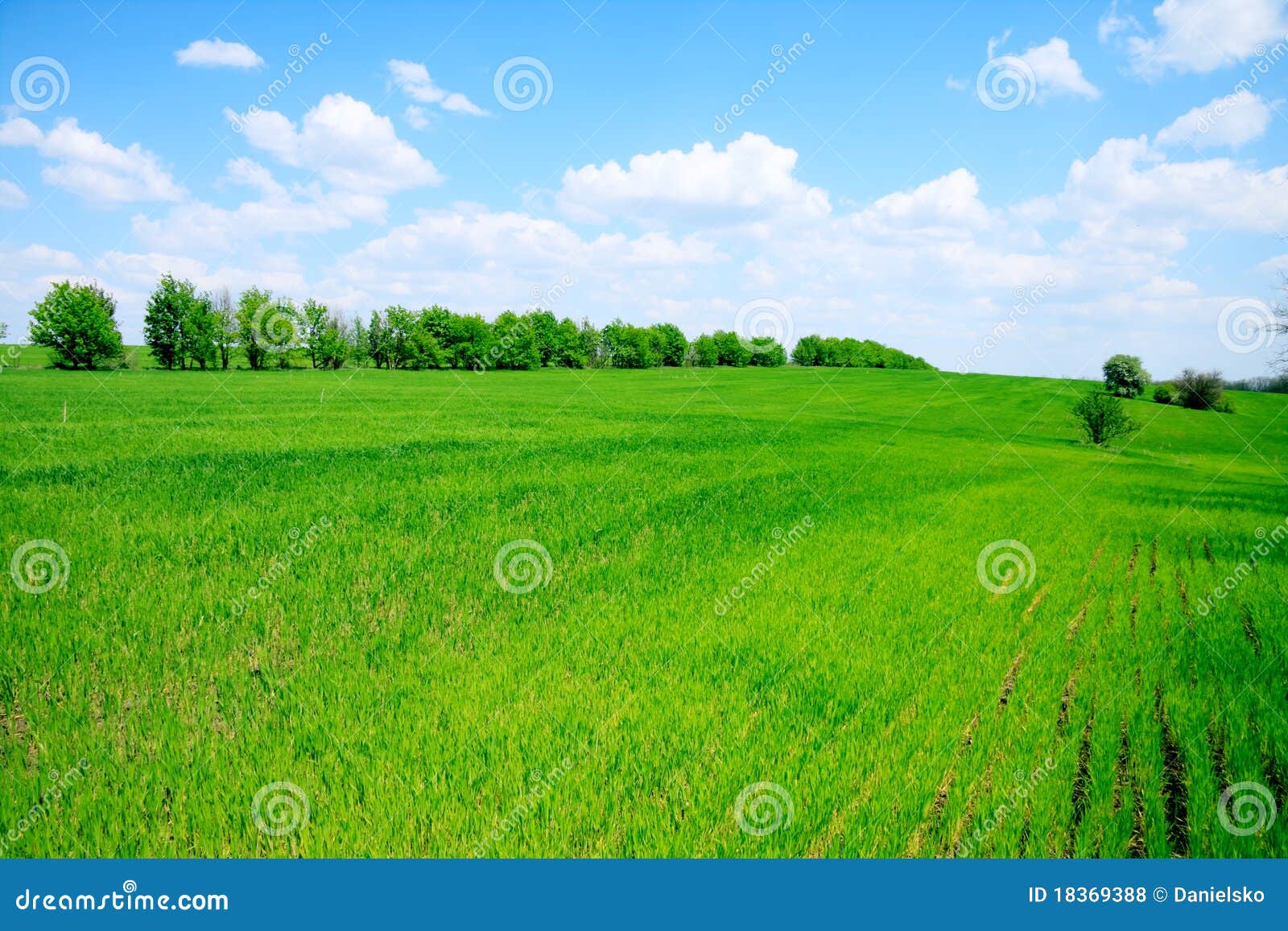 Green field and trees stock photo. Image of nature, country - 18369388