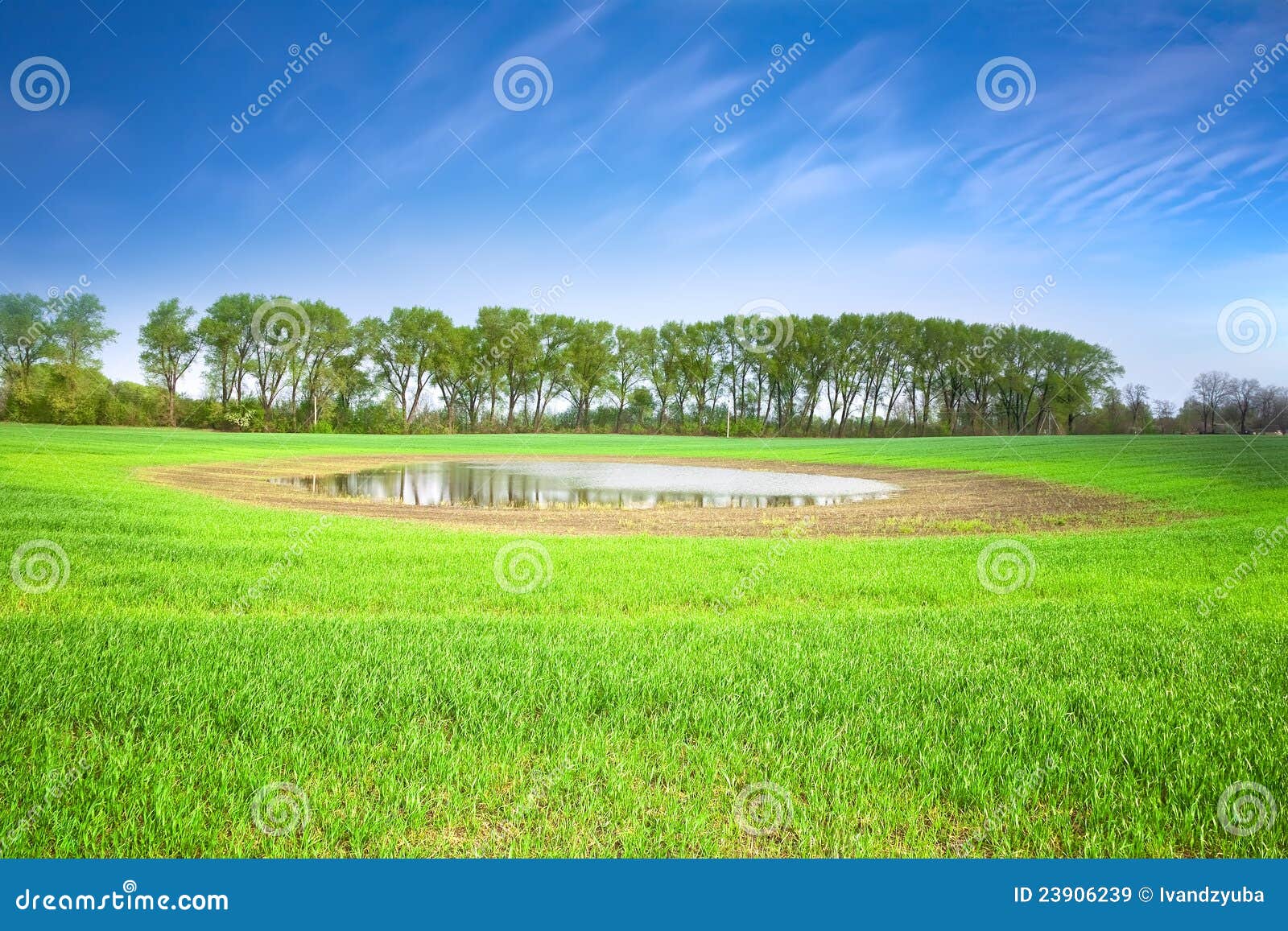 Green field and trees stock image. Image of outside, background - 23906239