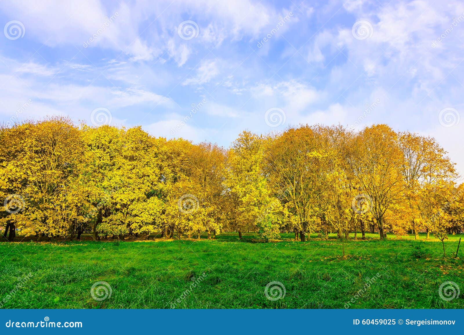 Green Field with Trees in Autumn Foliage Stock Image - Image of nature ...