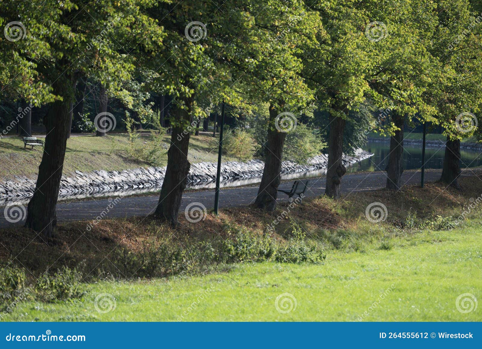 Green Field with Trees Near a Road Stock Photo - Image of scene, green ...