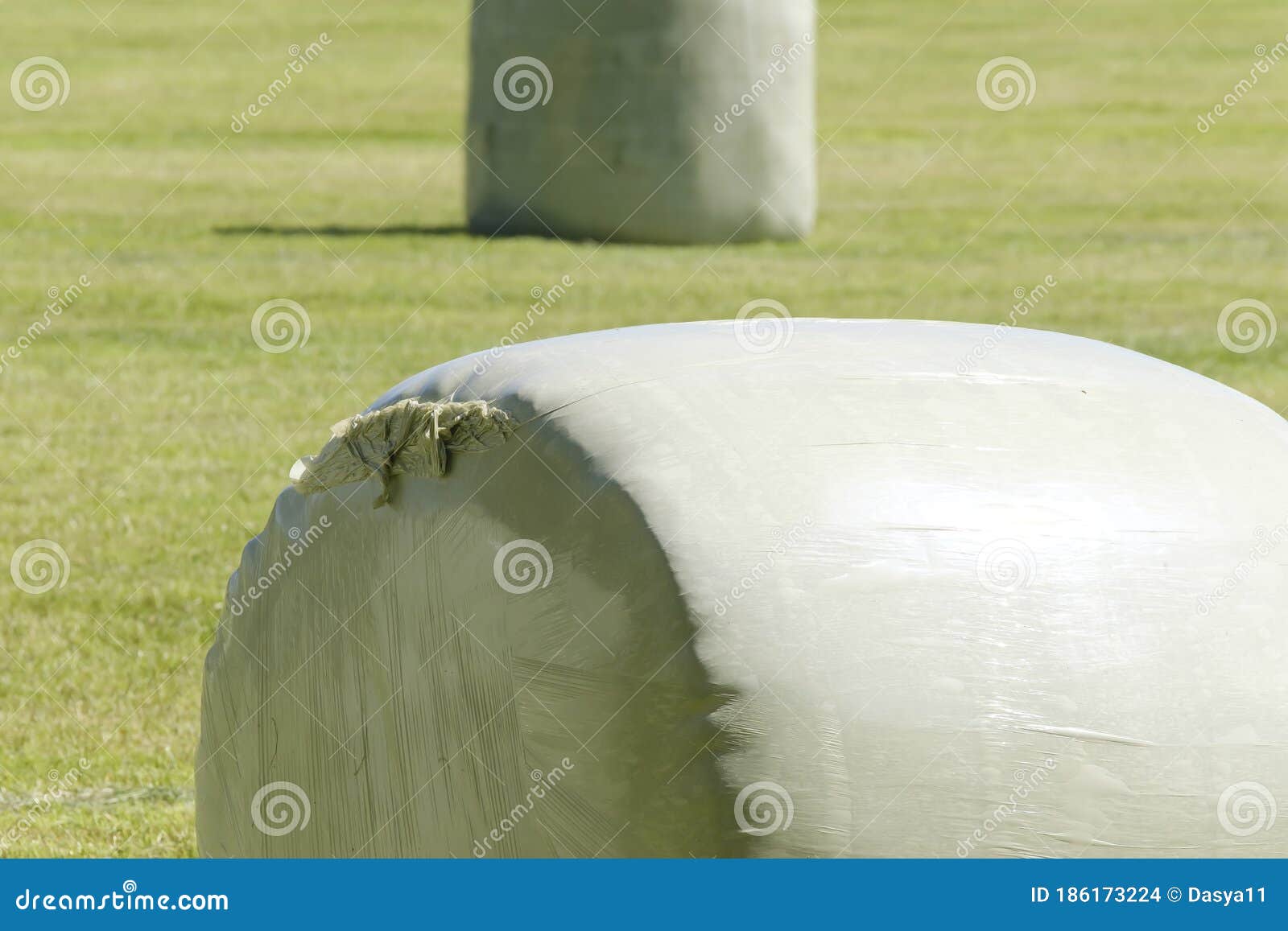 Green Field with Two Green Rolls of Ensilage or Bales of Hay, Wrapped ...