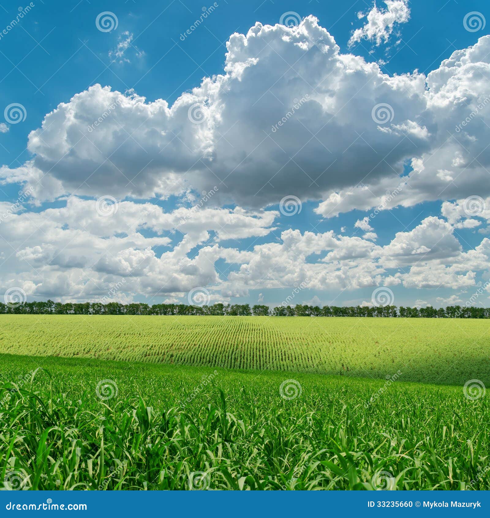 Green Field Under Cloudy Sky Stock Photo - Image of beauty, crop: 33235660