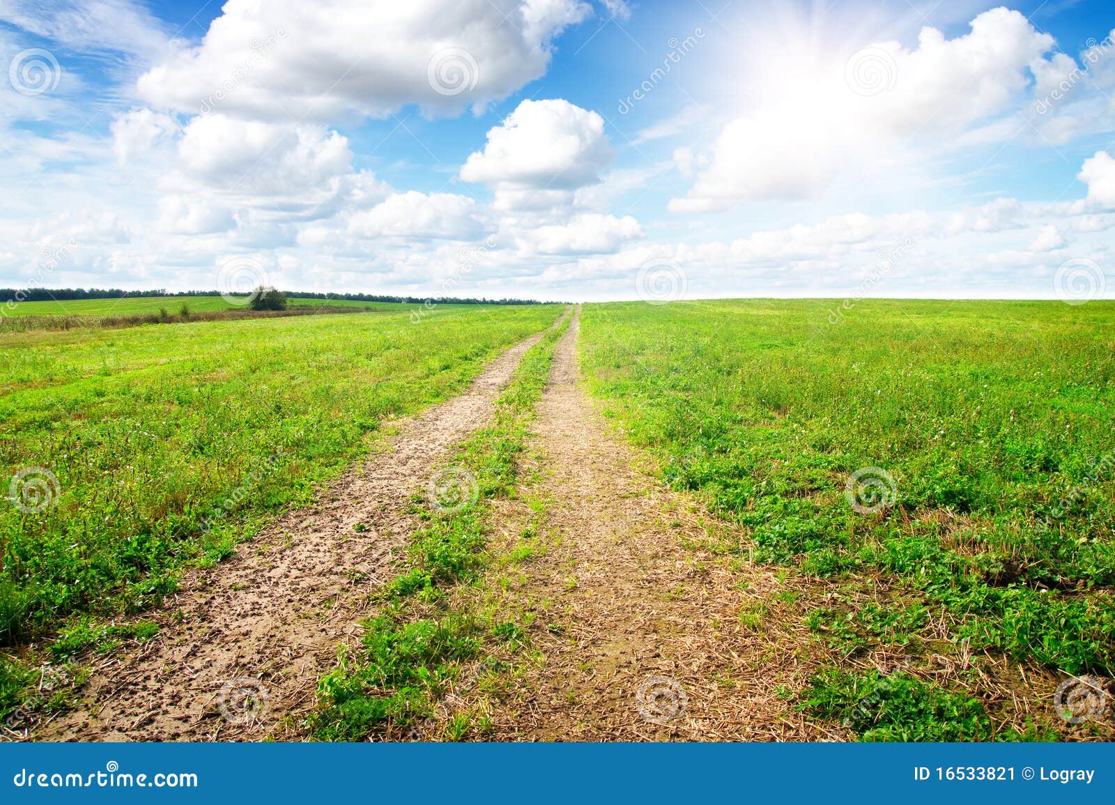 Green Field Under Midday Sun Stock Image - Image of path, cloudscape ...