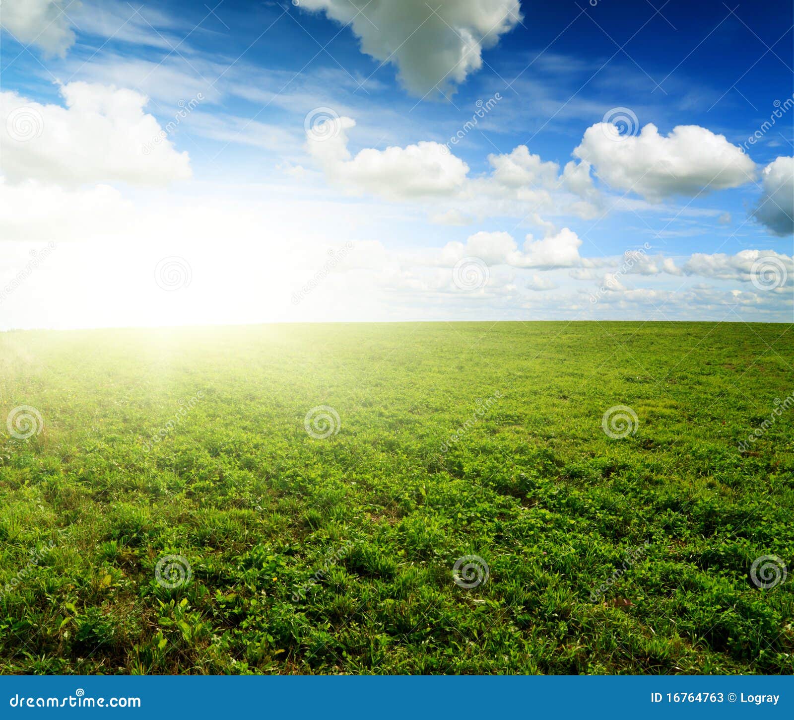 Green Field Under Midday Sun Stock Image - Image of green, scene: 16764763