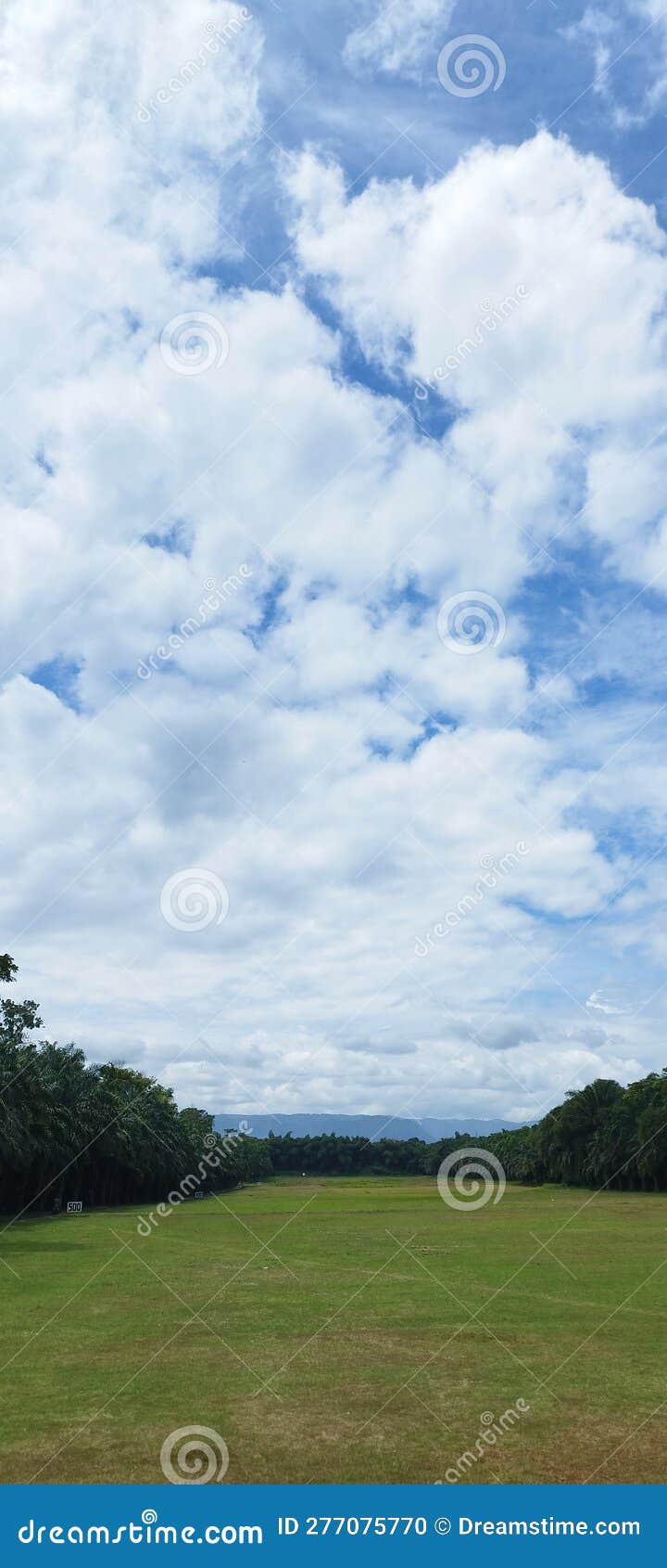 Green Field with a Very Beautiful Background Stock Photo - Image of ...