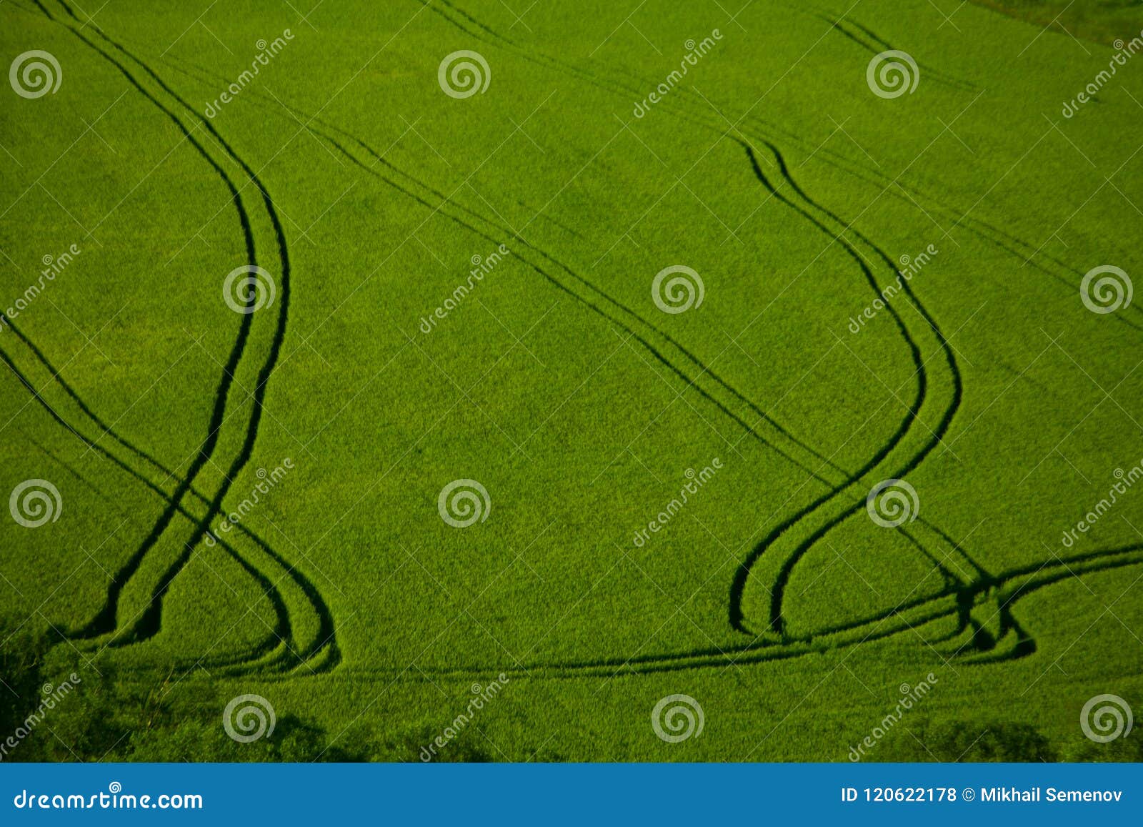 Green Field, View from a Height. Patterns on the Fields Stock Photo ...