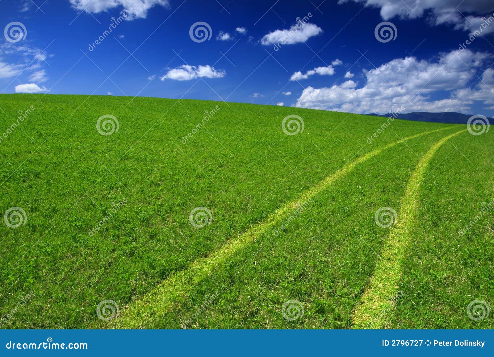 Green Field Way stock image. Image of colored, clear, grass - 2796727