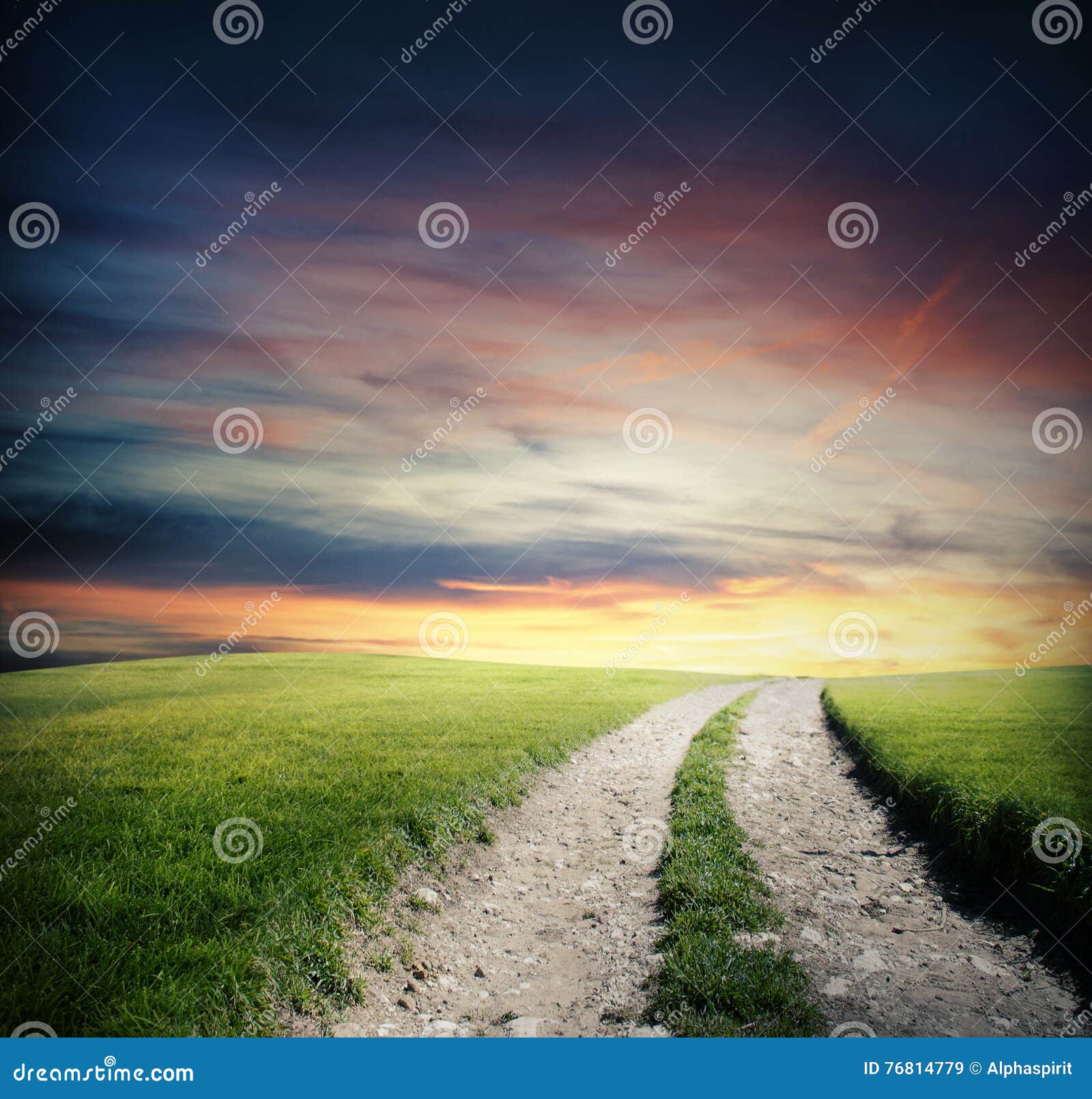 Green field way stock image. Image of path, spring, nature - 76814779