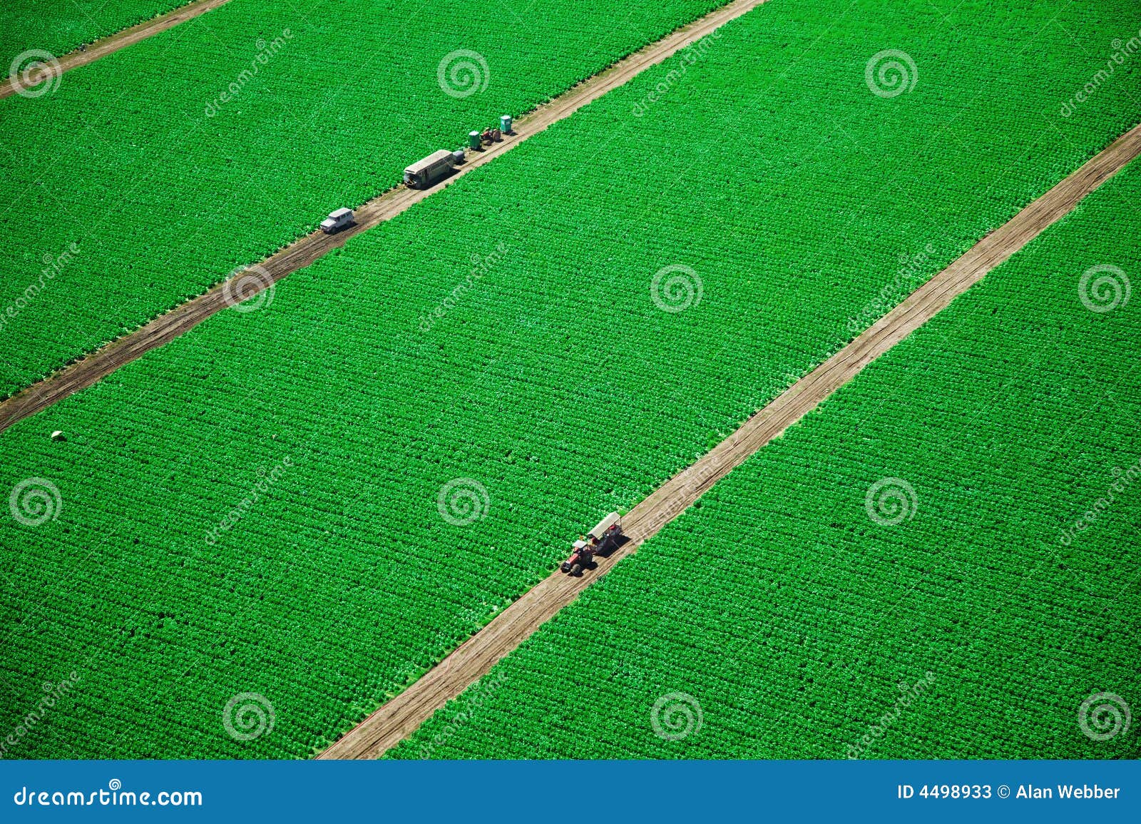 Green fields from above stock image. Image of texture - 4498933