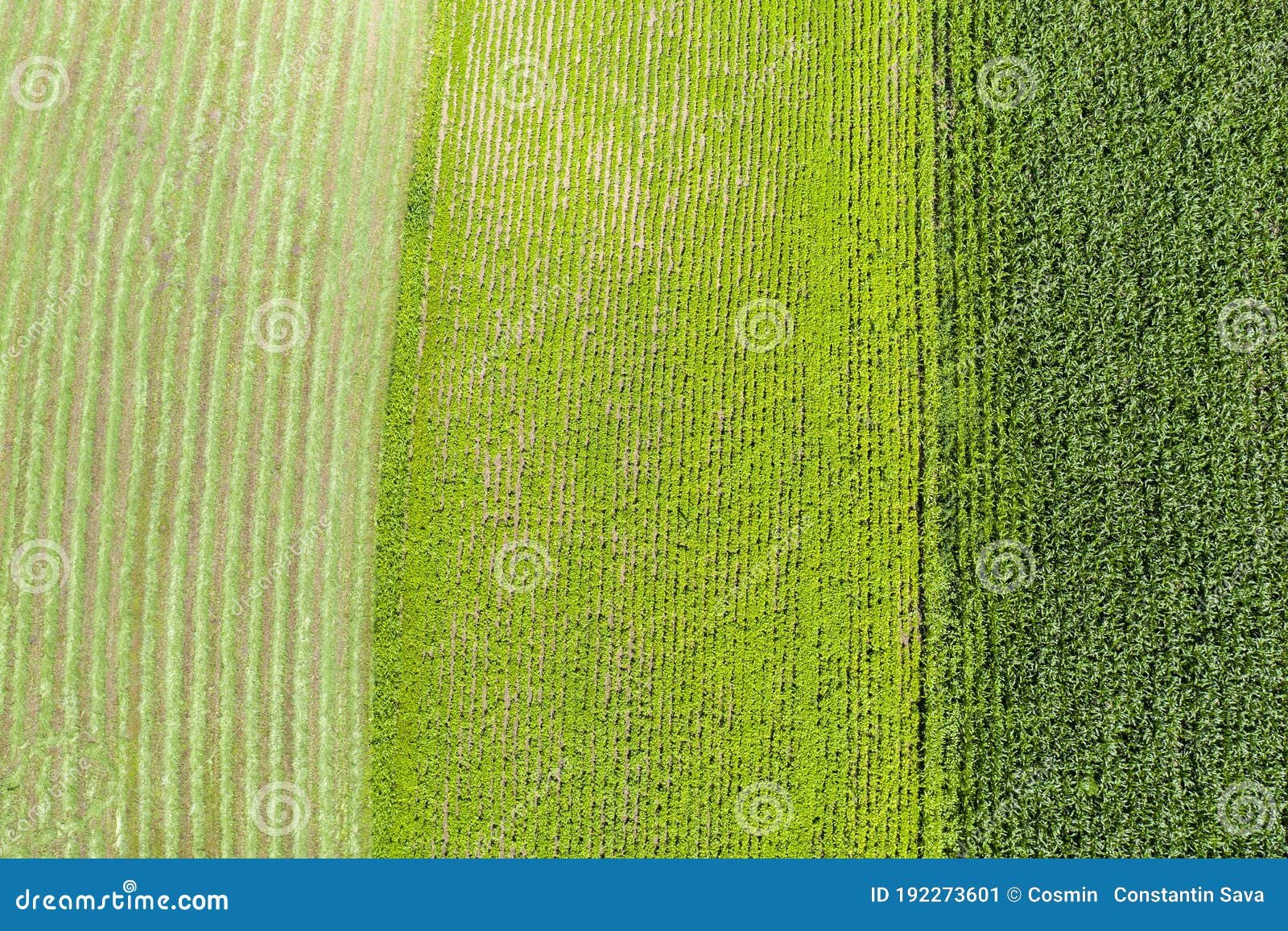 Green fields from above stock image. Image of nature - 192273601